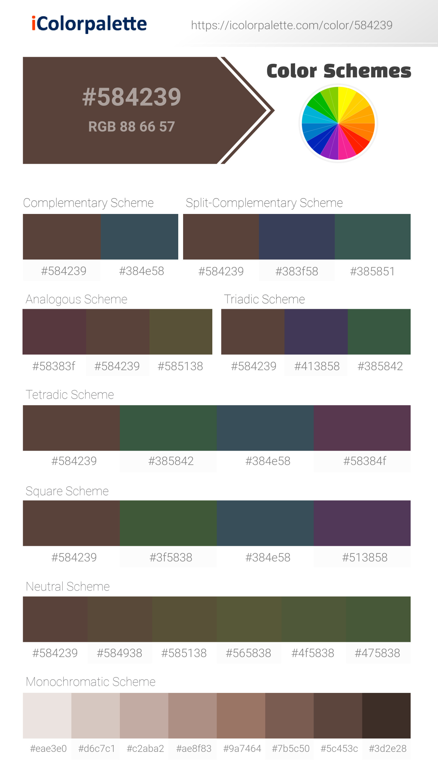 Pantone 19-1218 Tpx Potting Soil Color | Hex color Code #584239 information | Hsl | Rgb | Pantone
