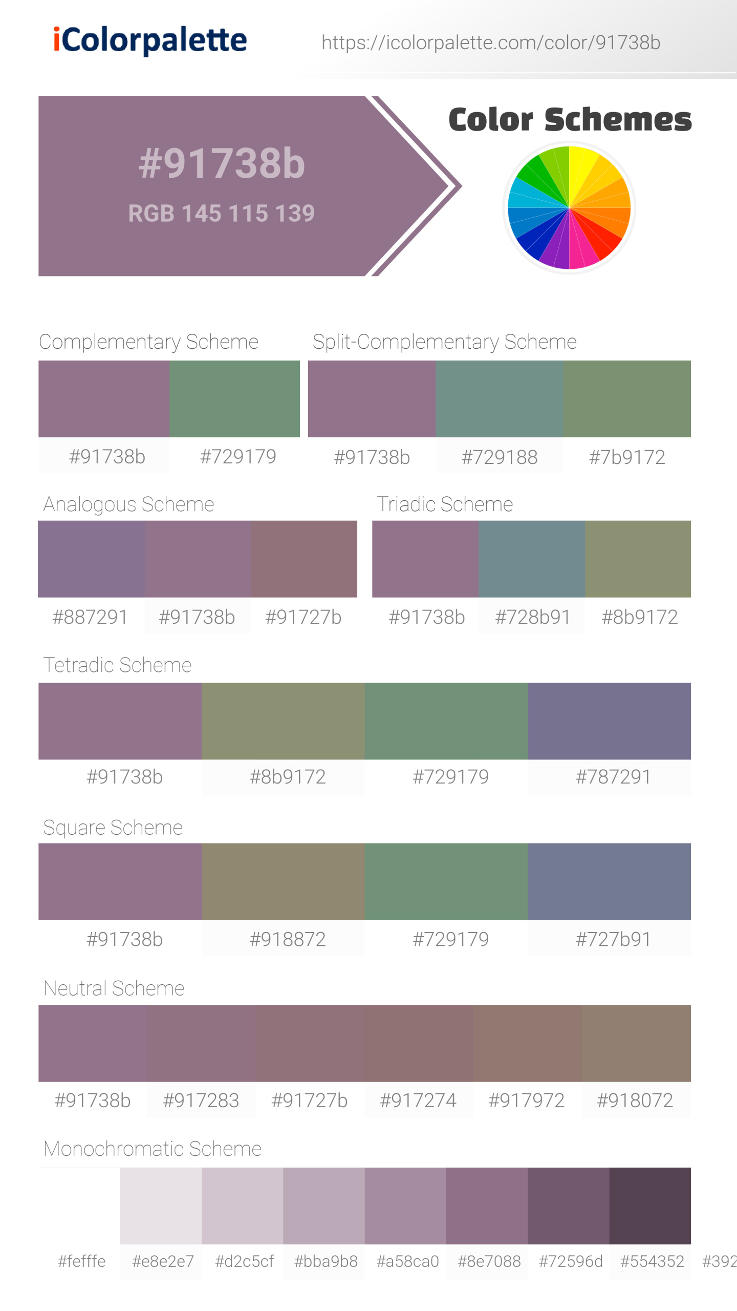 Hex Color #91738b information | Hsl | Rgb | Pantone