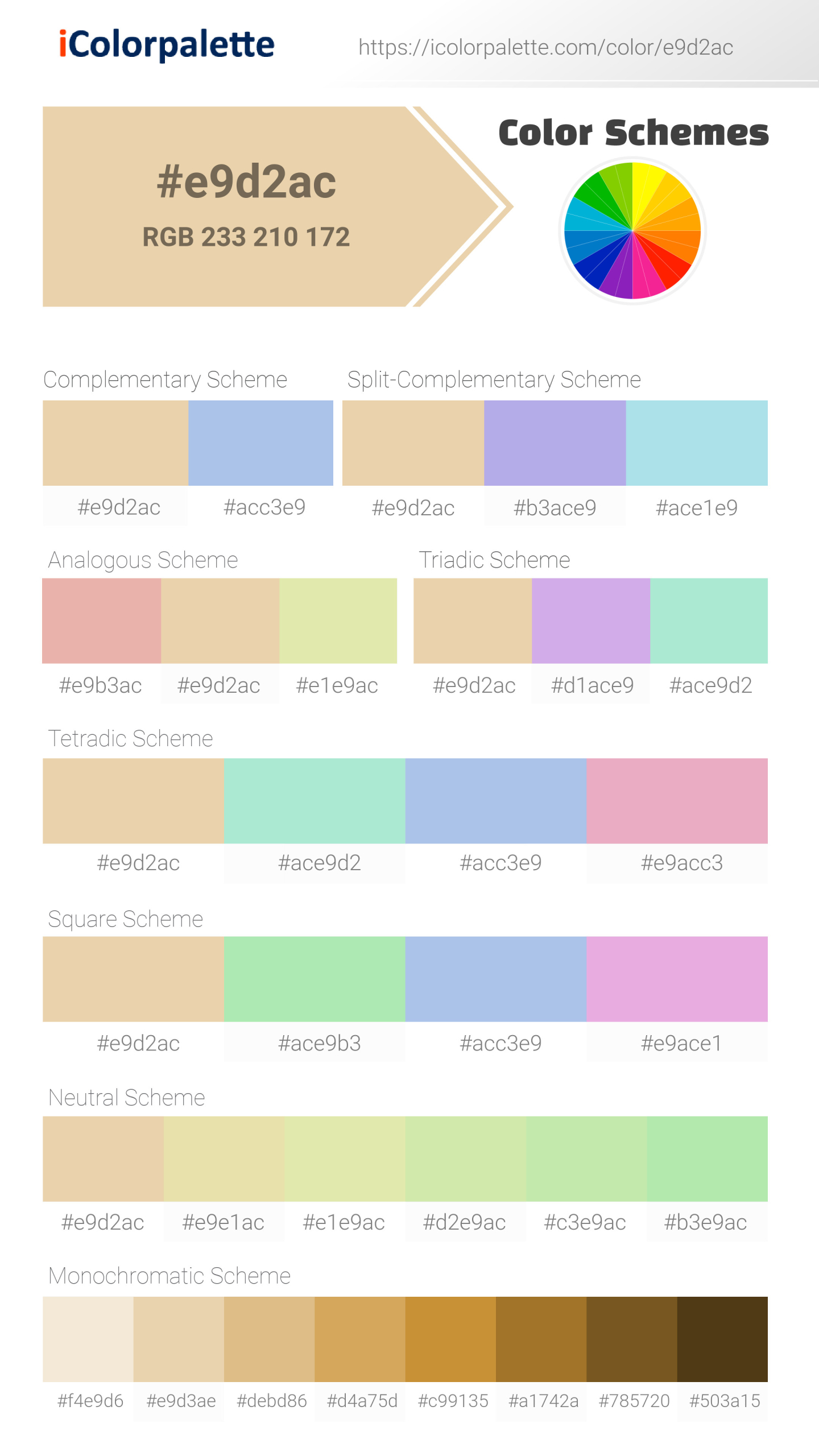Champagne information | Hsl | Rgb | Pantone