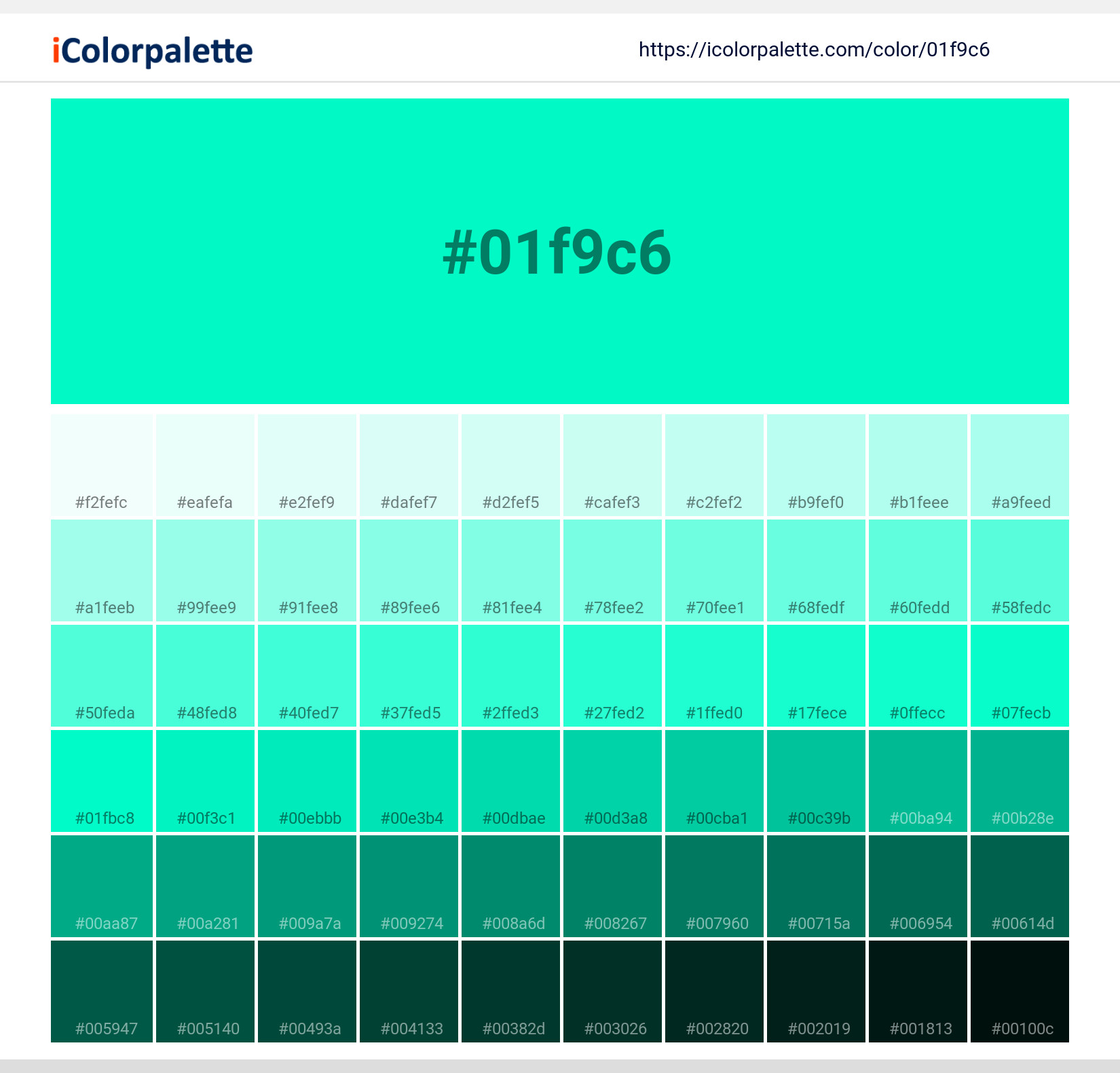 Bright Teal information | Hsl | Rgb | Pantone