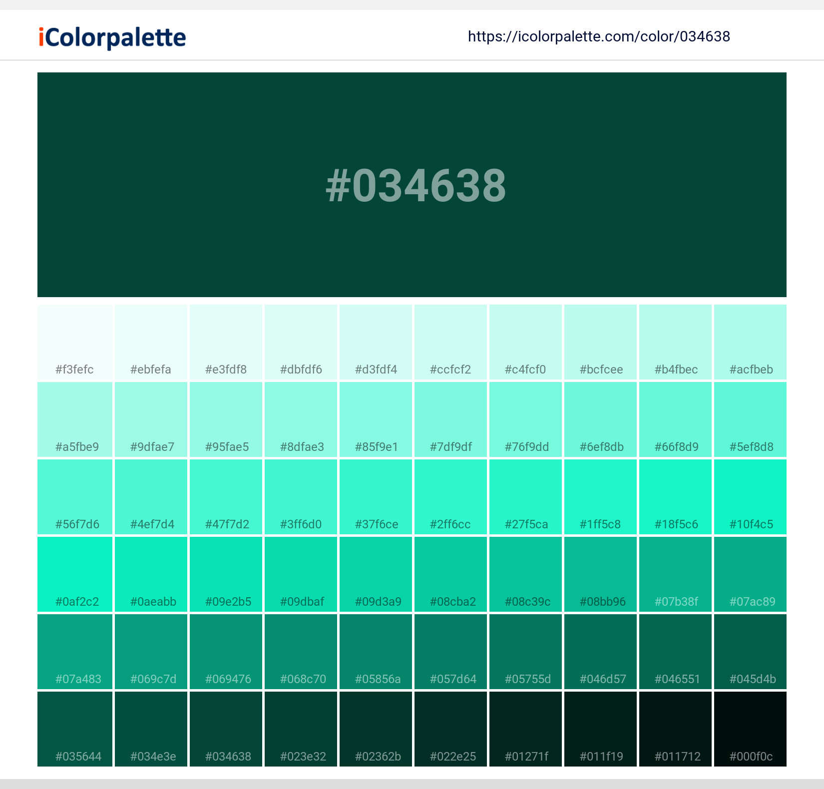 Hex Color #034638 information | Hsl | Rgb | Pantone