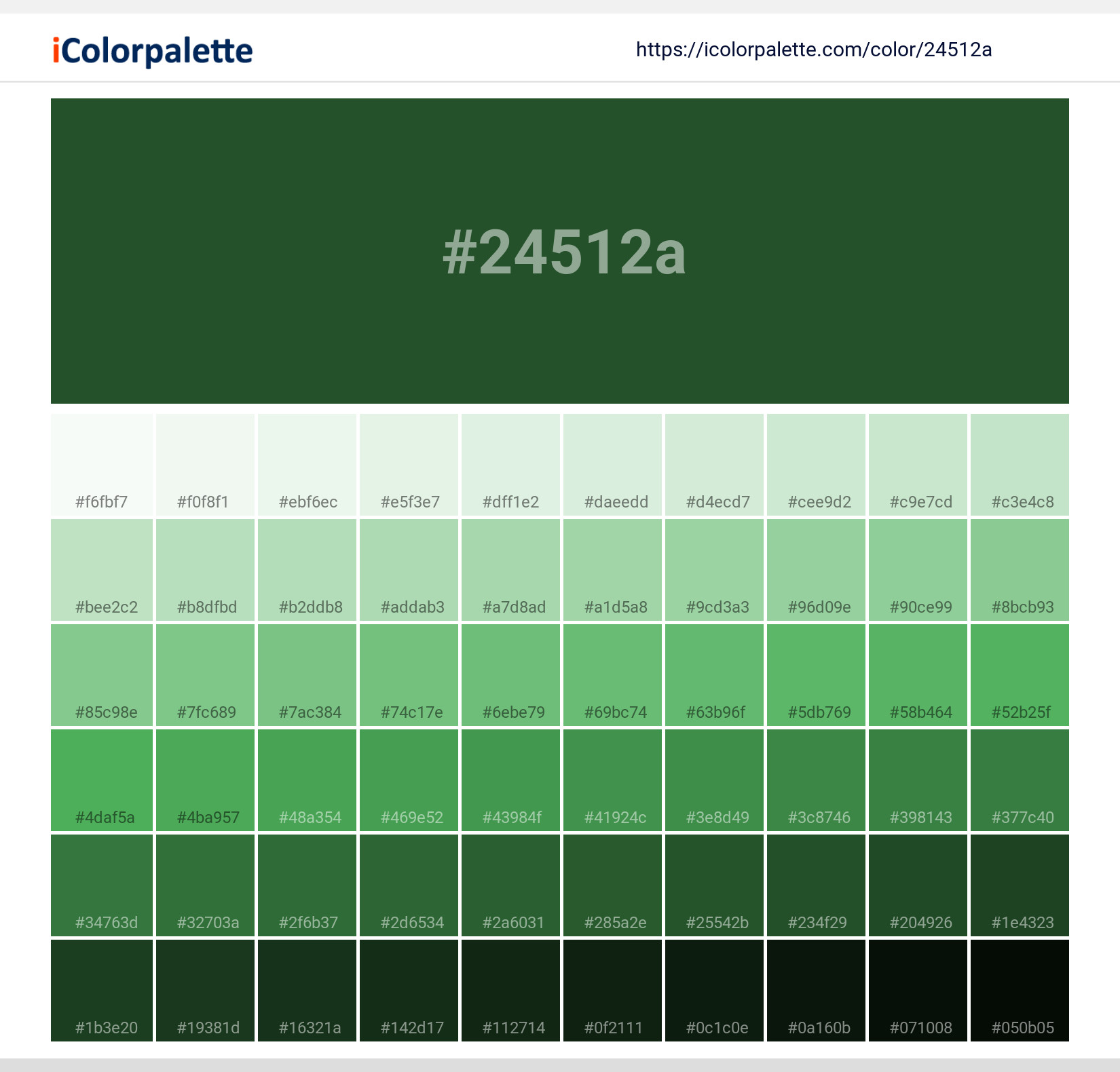 Kaitoke Green (similar) Color | 24512a information | Hsl | Rgb | Pantone