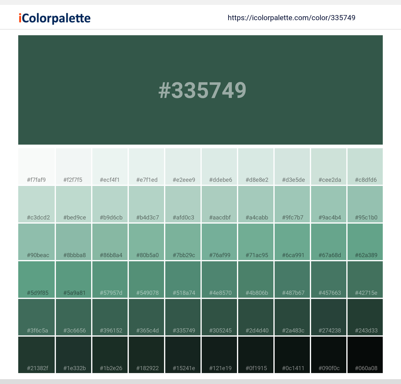Pantone 19-5511 Tcx Hunter Green Color | Hex color Code #335749 ...