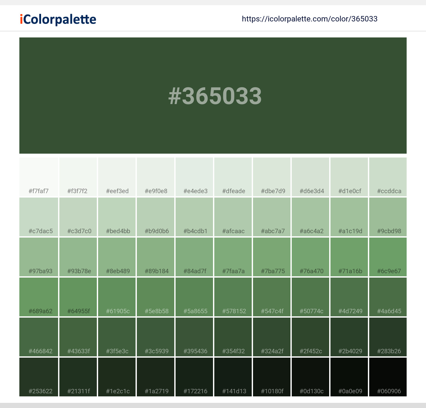 Nettle Green (similar) Color | 365033 | Color conversion CMYK | Hsl ...