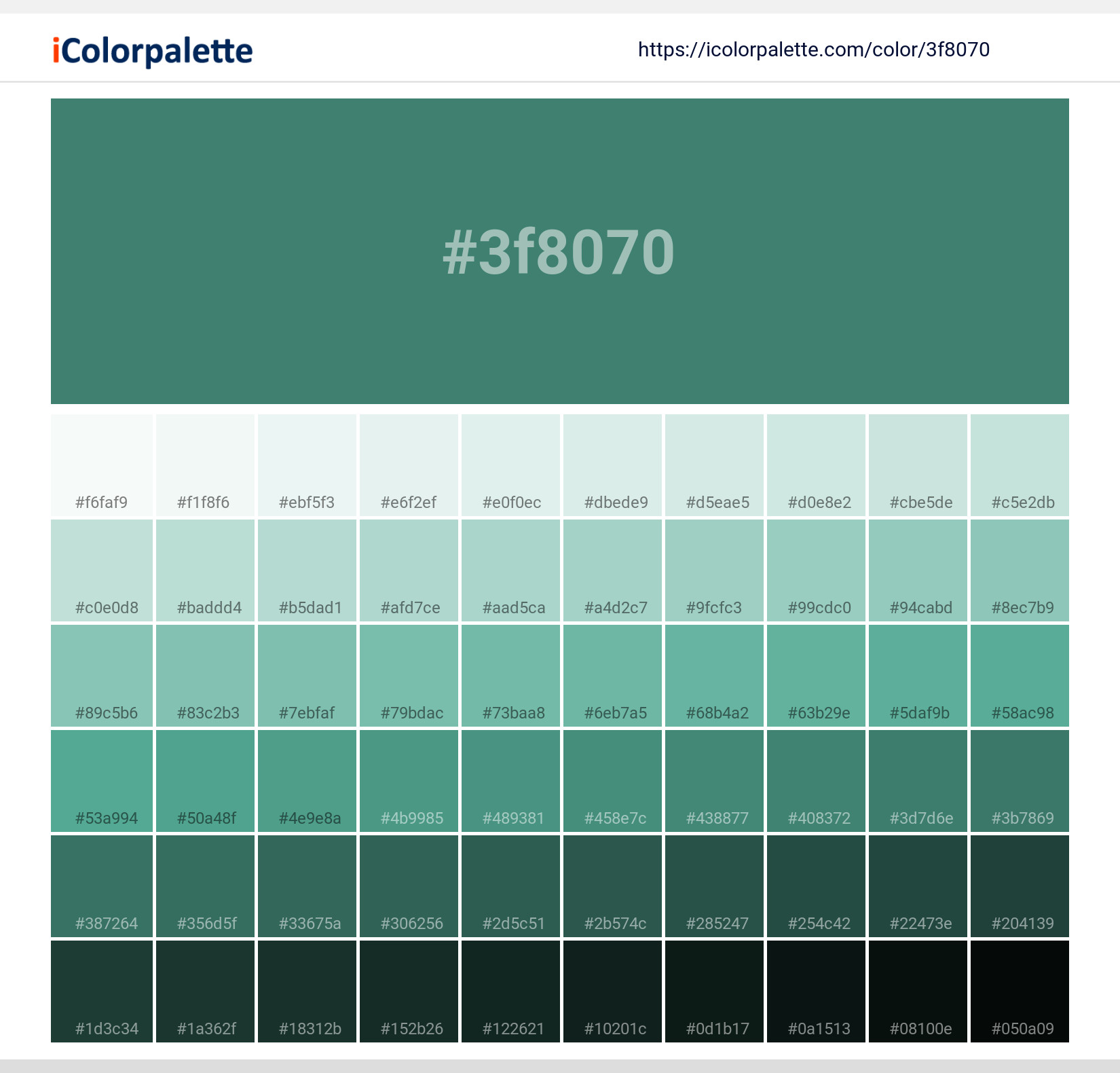Pantone 17-5722 Tpx Bottle Green Color | Hex color Code #3F8070 ...