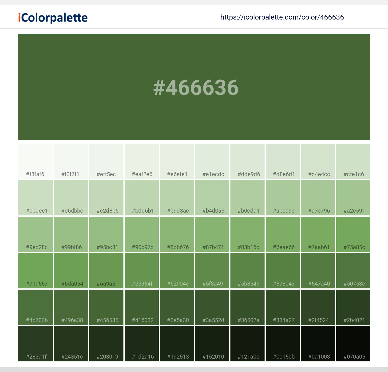 Greenhouse (similar) Color | 466636 information | Hsl | Rgb | Pantone