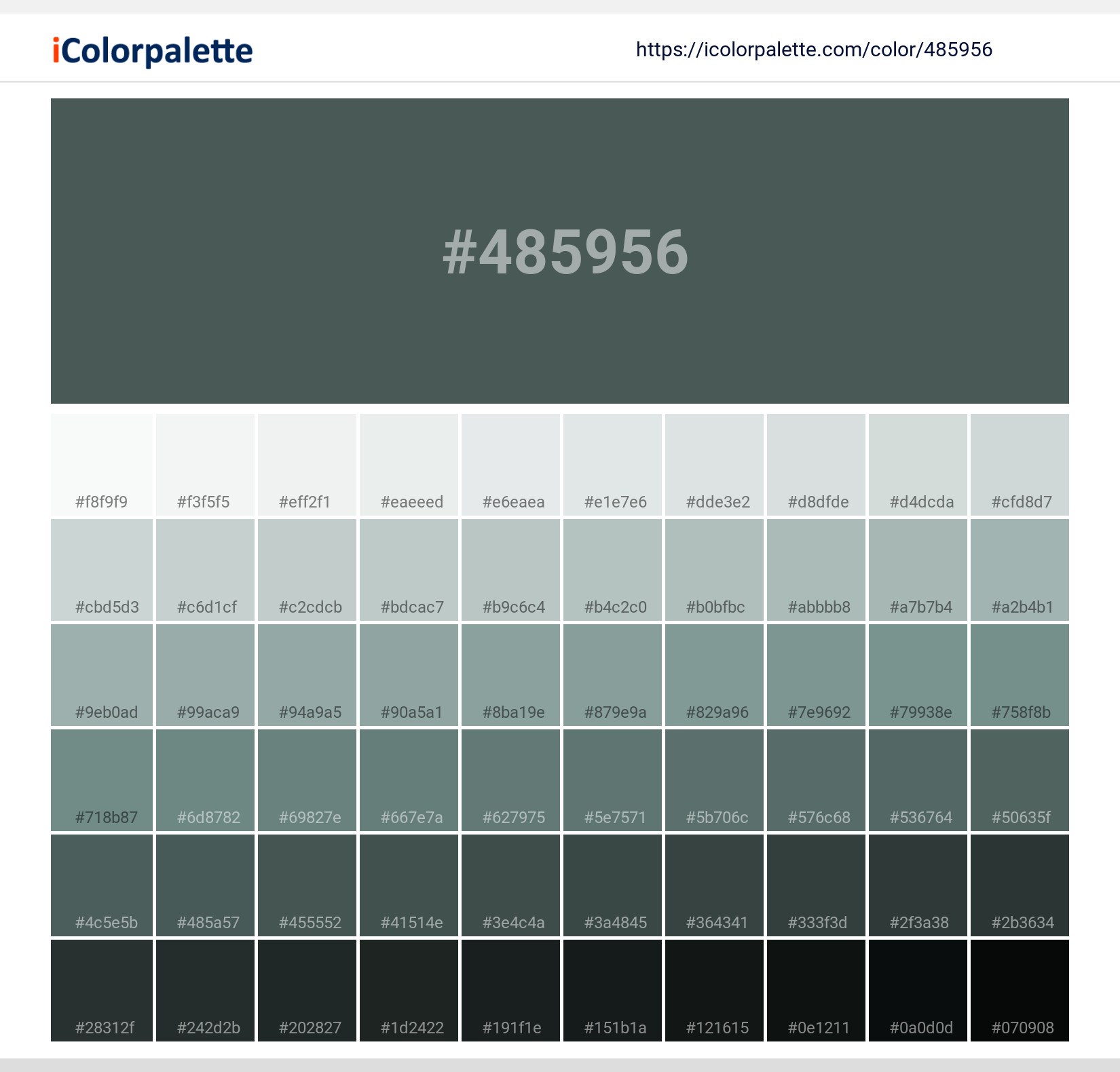 Pantone 5535 U Color | Hex color Code #485956 information | Hsl | Rgb ...
