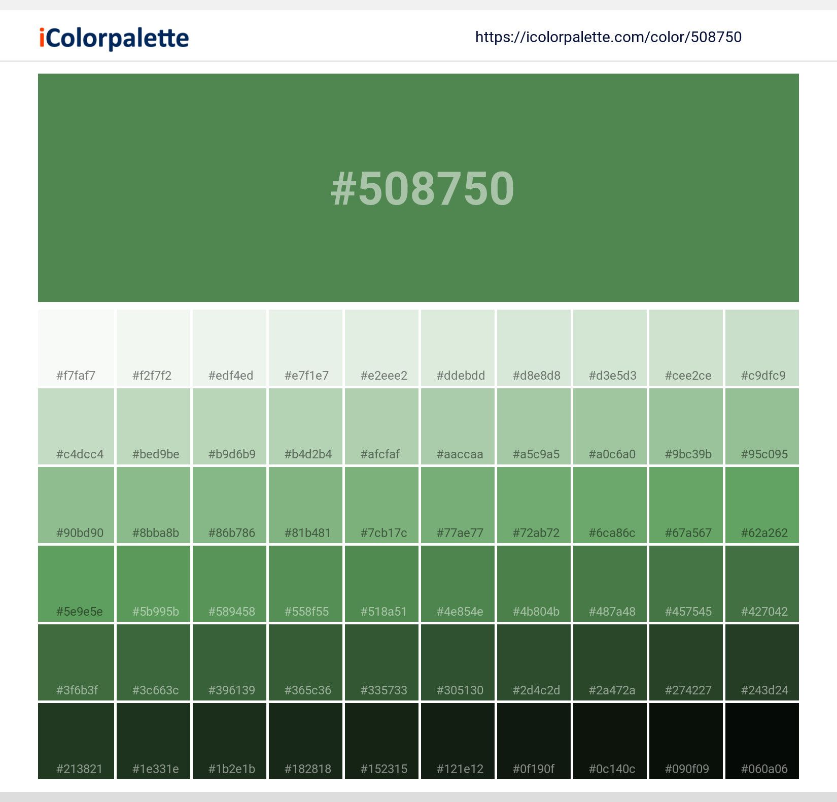 Belfast (similar) Color | 508750 information | Hsl | Rgb | Pantone