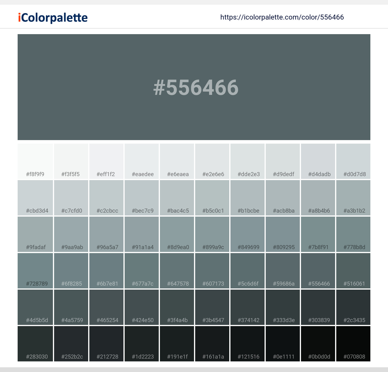 Pantone 18-5606 Tpx Balsam Green Color | Hex color Code #556466 ...