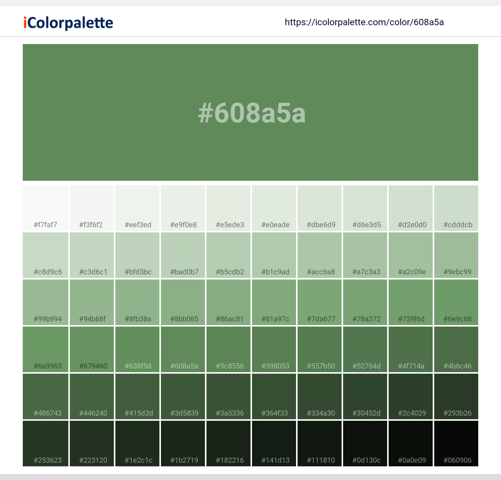 Hippie Green Color | 608a5a information | Hsl | Rgb | Pantone