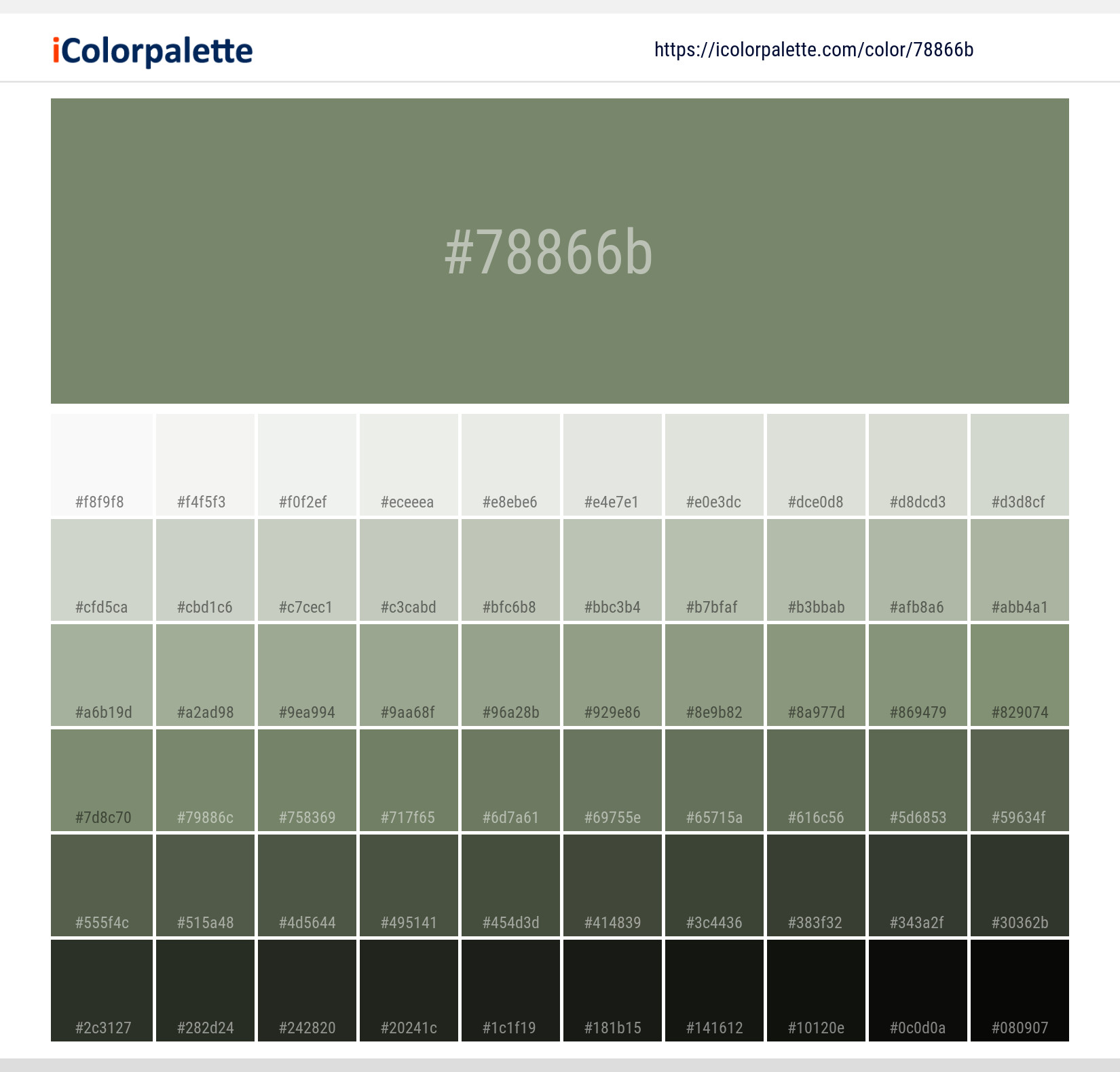 Olive Leaf Tea information | Hsl | Rgb | Pantone