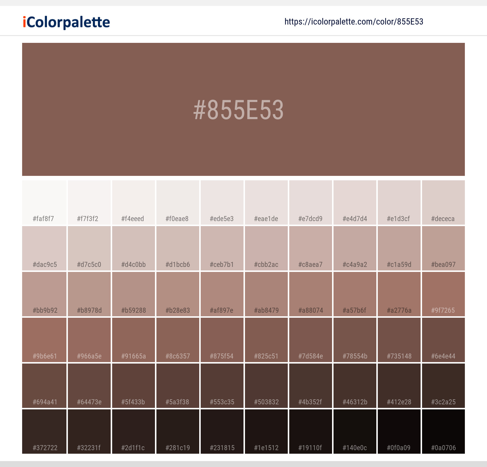 Hex Color #855e53 information | Hsl | Rgb | Pantone