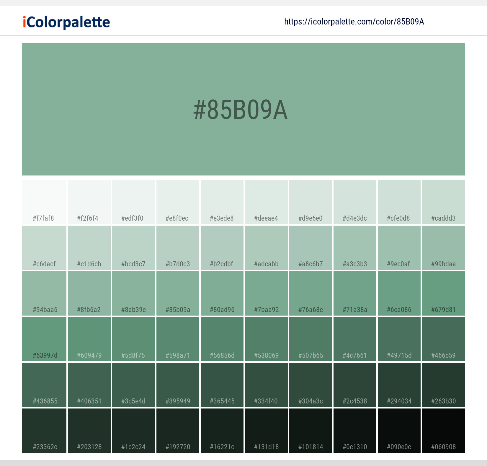 Hex Color #85b09a | Printing Match PANTONE 557 C | Color conversion ...