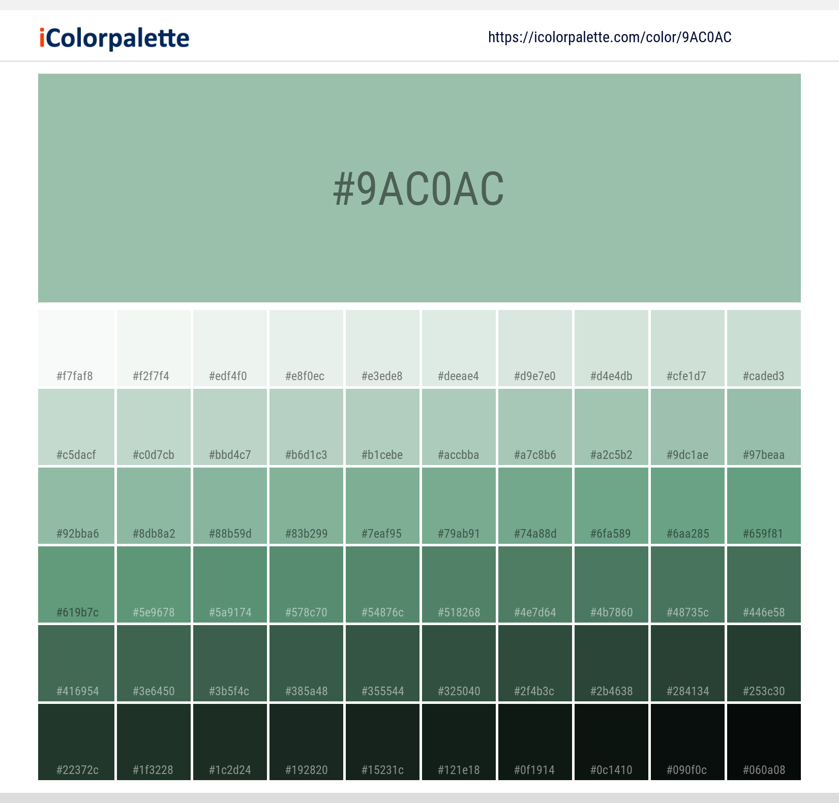 Pantone 14-6011 Tpg Grayed Jade Color | Hex color Code #9AC0AC ...