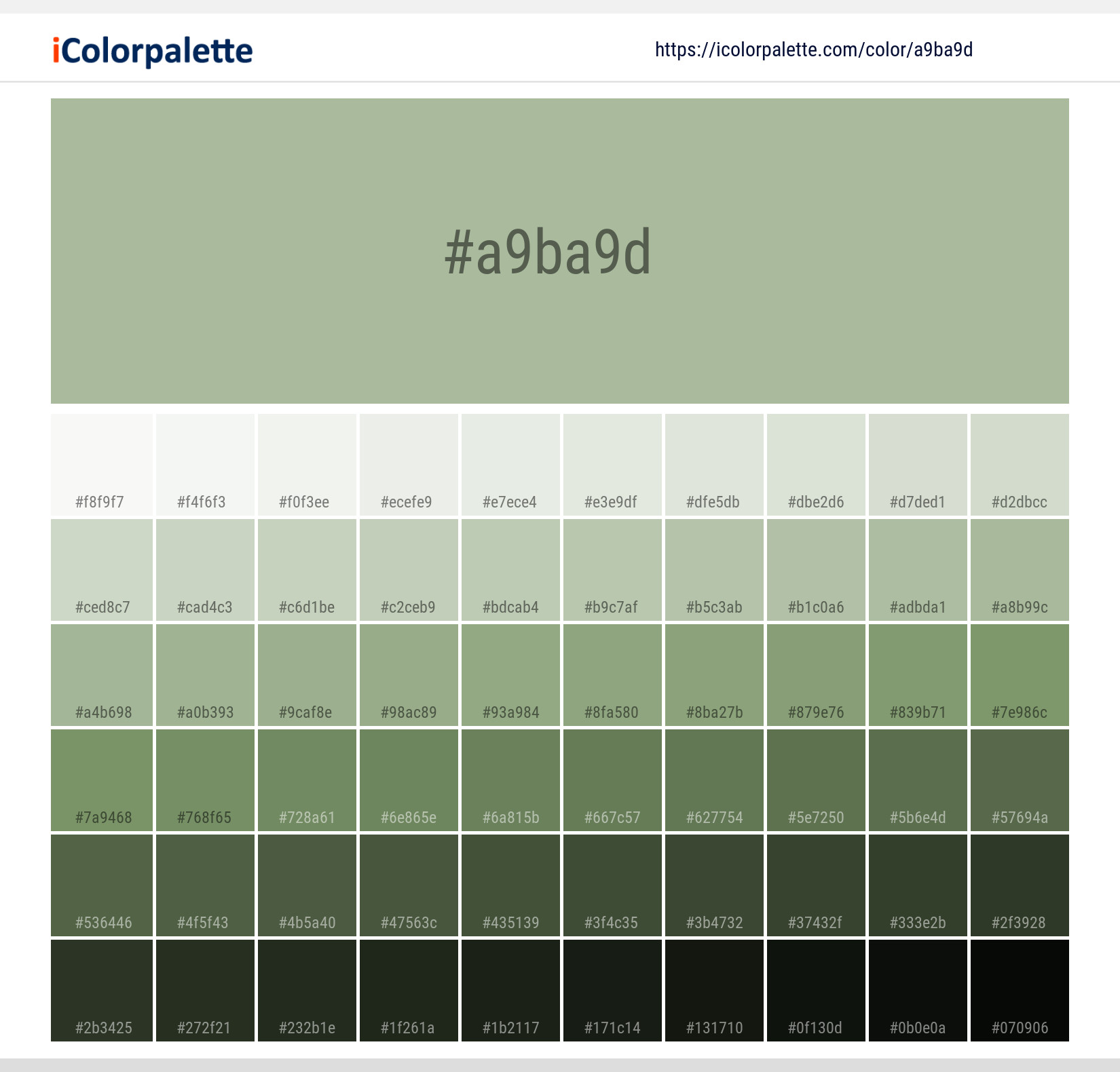 Pantone 15-6313 Tpx Laurel Green Color | Hex color Code #A9BA9D ...