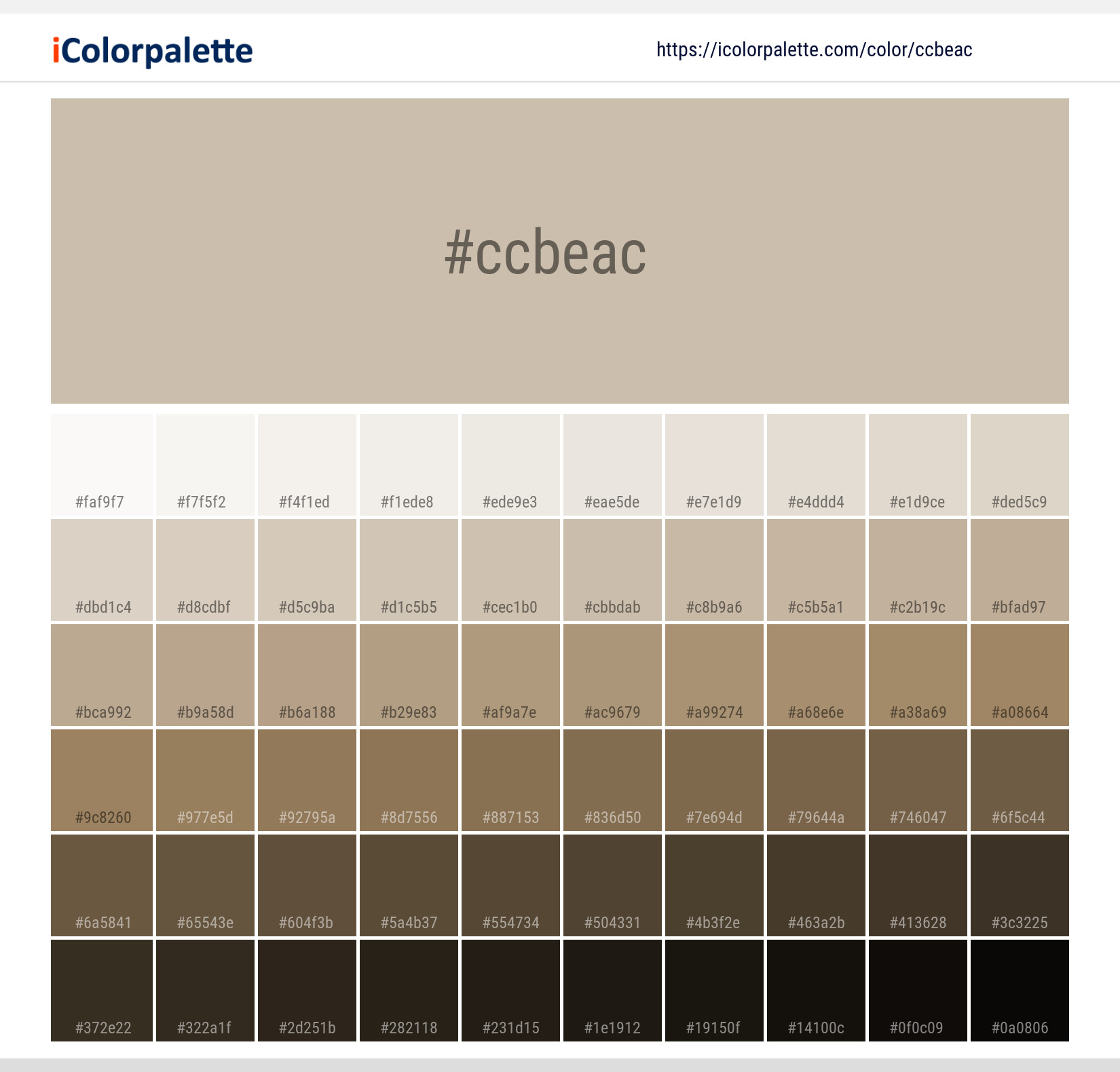 Birchwood information | Hsl | Rgb | Pantone