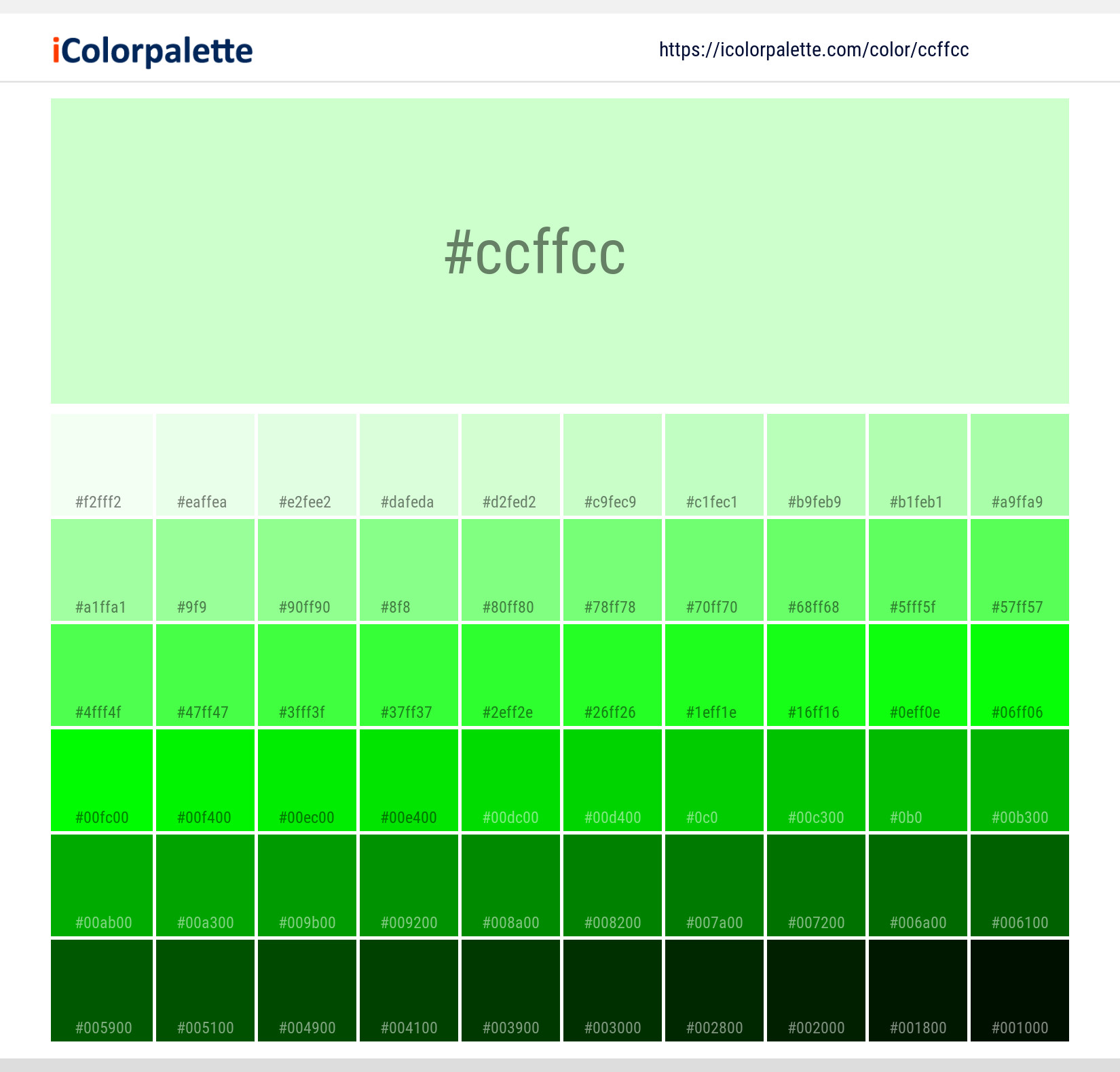 Distilled Moss Color | ccffcc information | Hsl | Rgb | Pantone