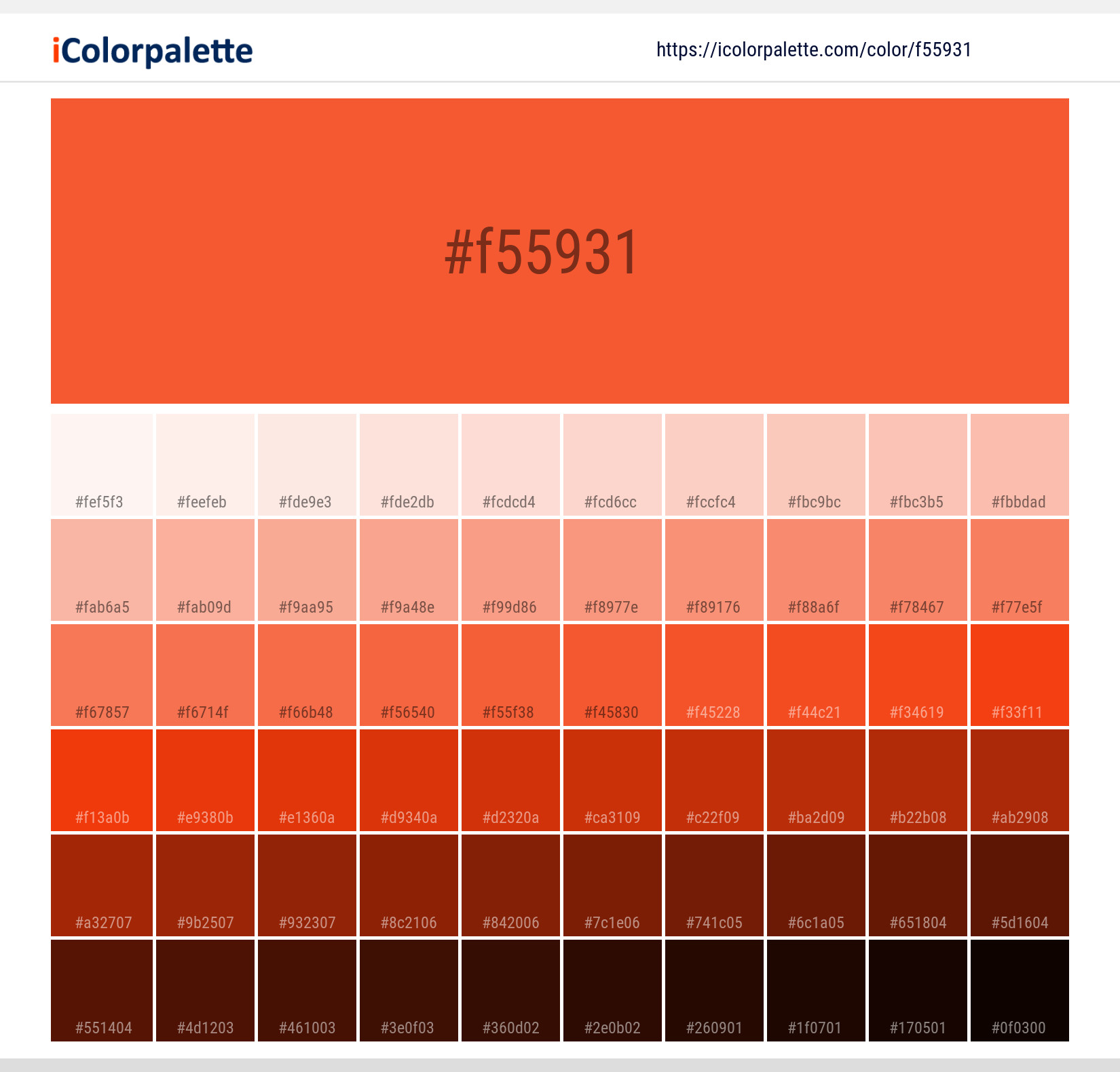 Hot Embers Color | f55931 information | Hsl | Rgb | Pantone