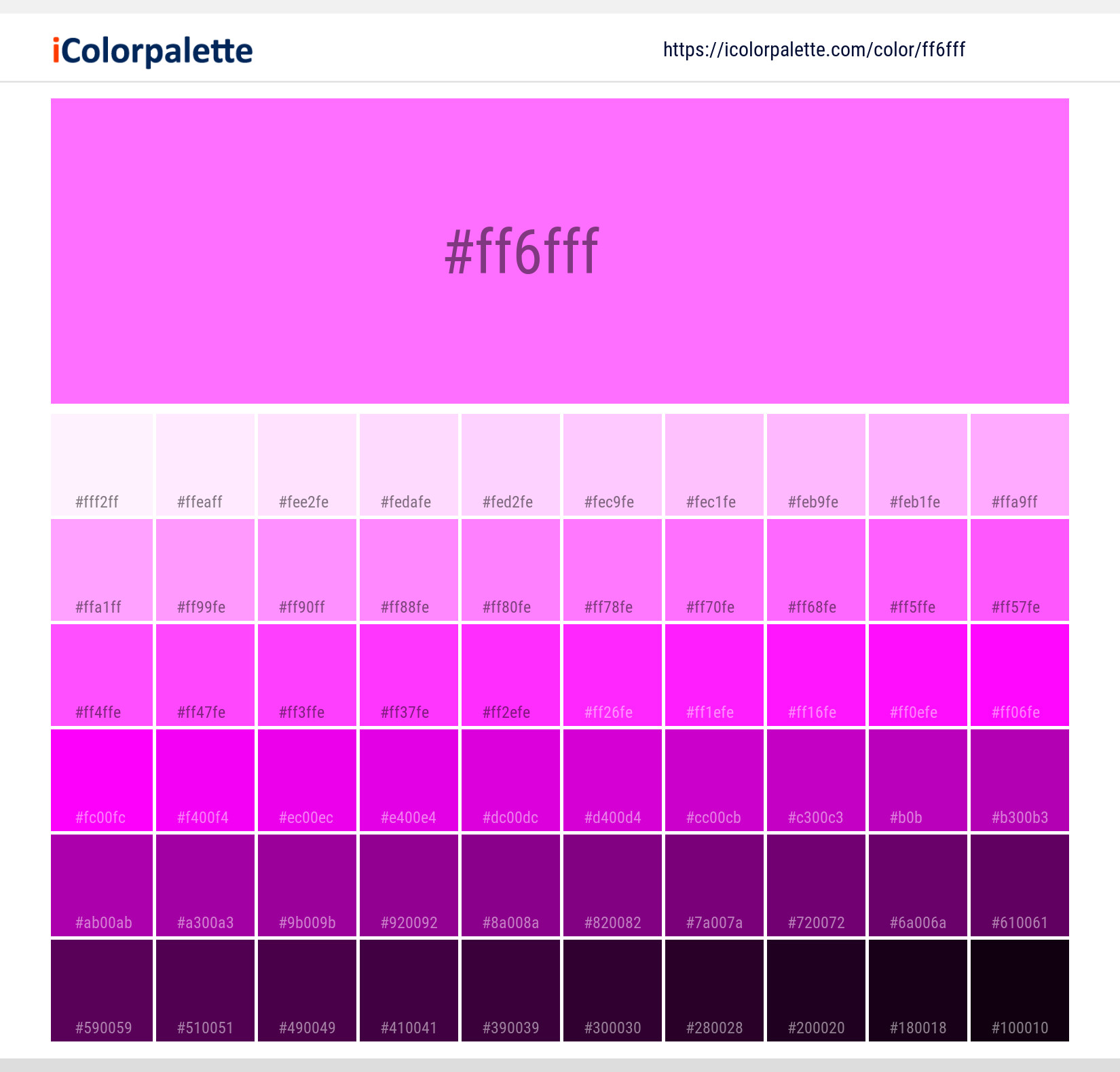 Blush Pink Color | ff6fff information | Hsl | Rgb | Pantone
