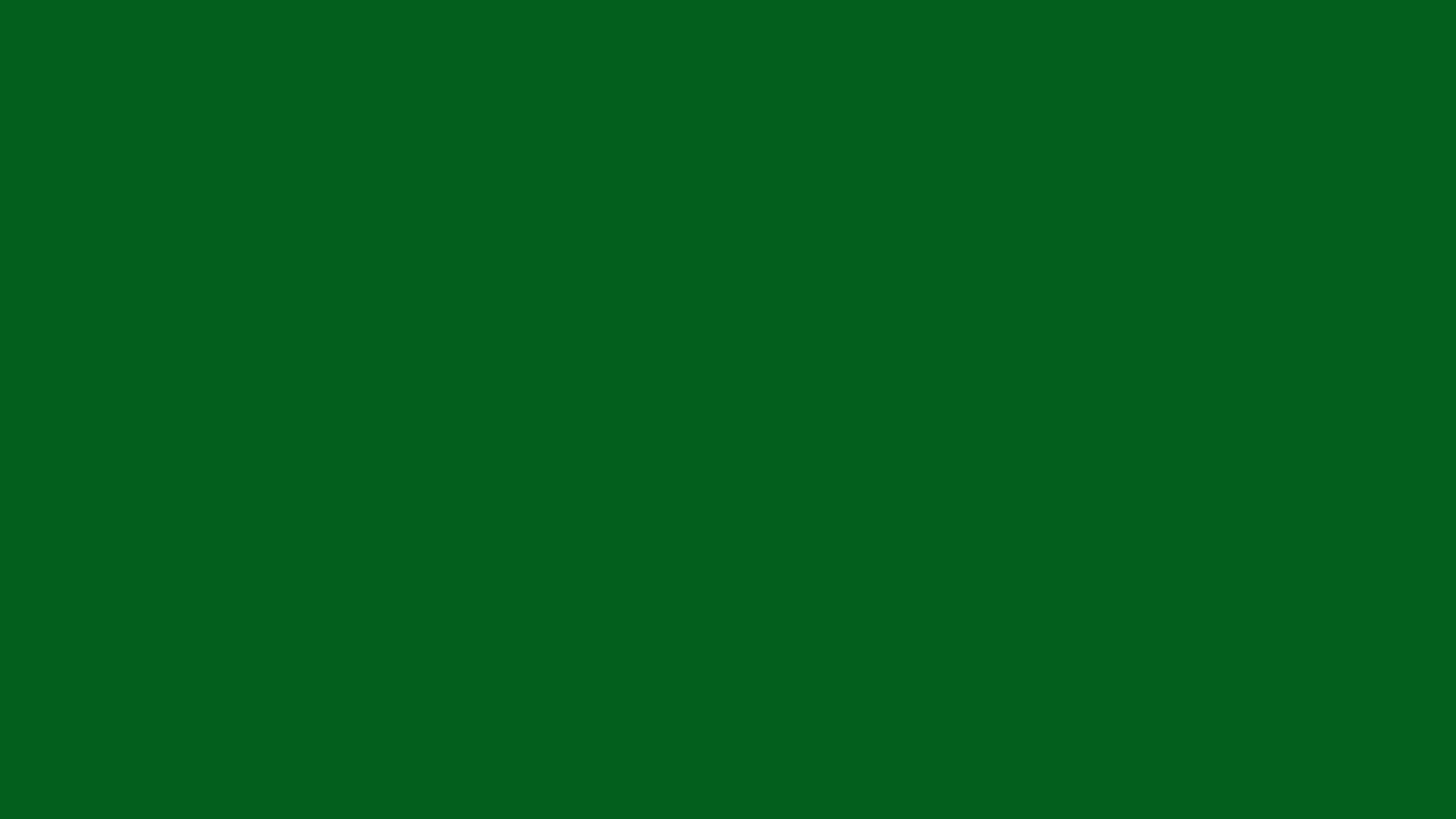 Pantone 2427 C Color | Hex color Code #035F1D information | Hsl | Rgb ...