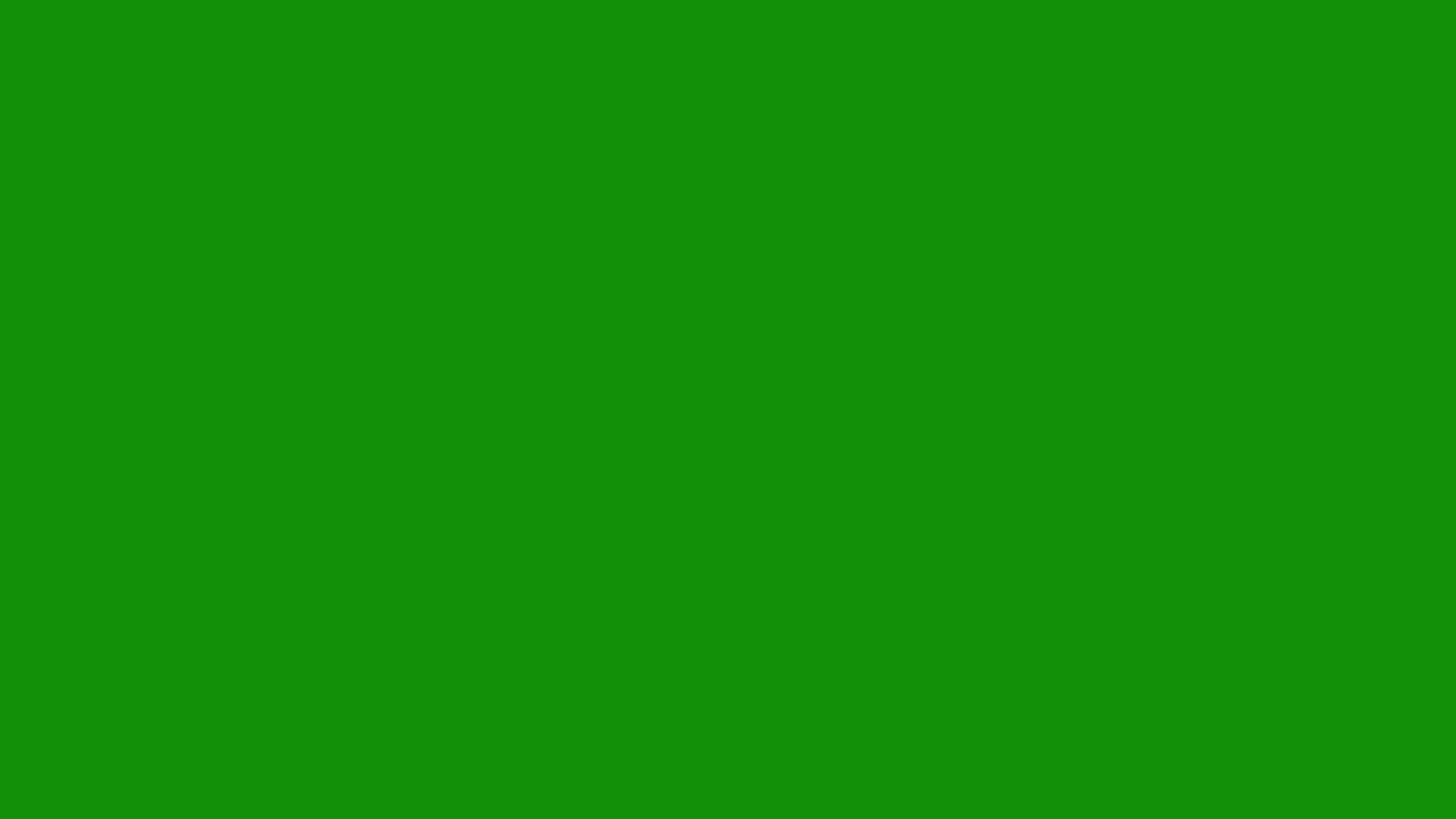 India Green (similar) Color | 129007 information | Hsl | Rgb | Pantone