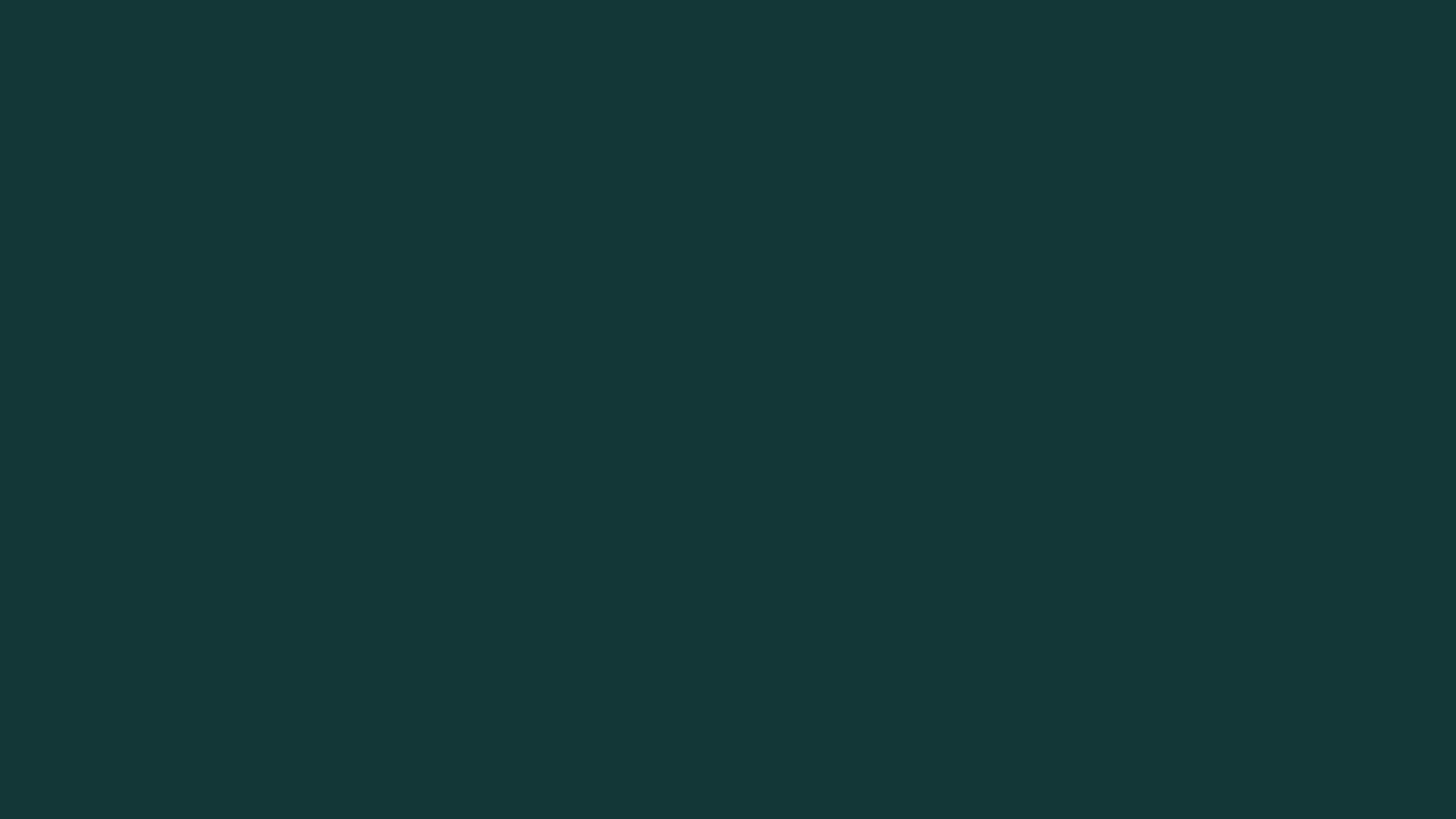 Elite Teal (similar) Color | 133636 information | Hsl | Rgb | Pantone