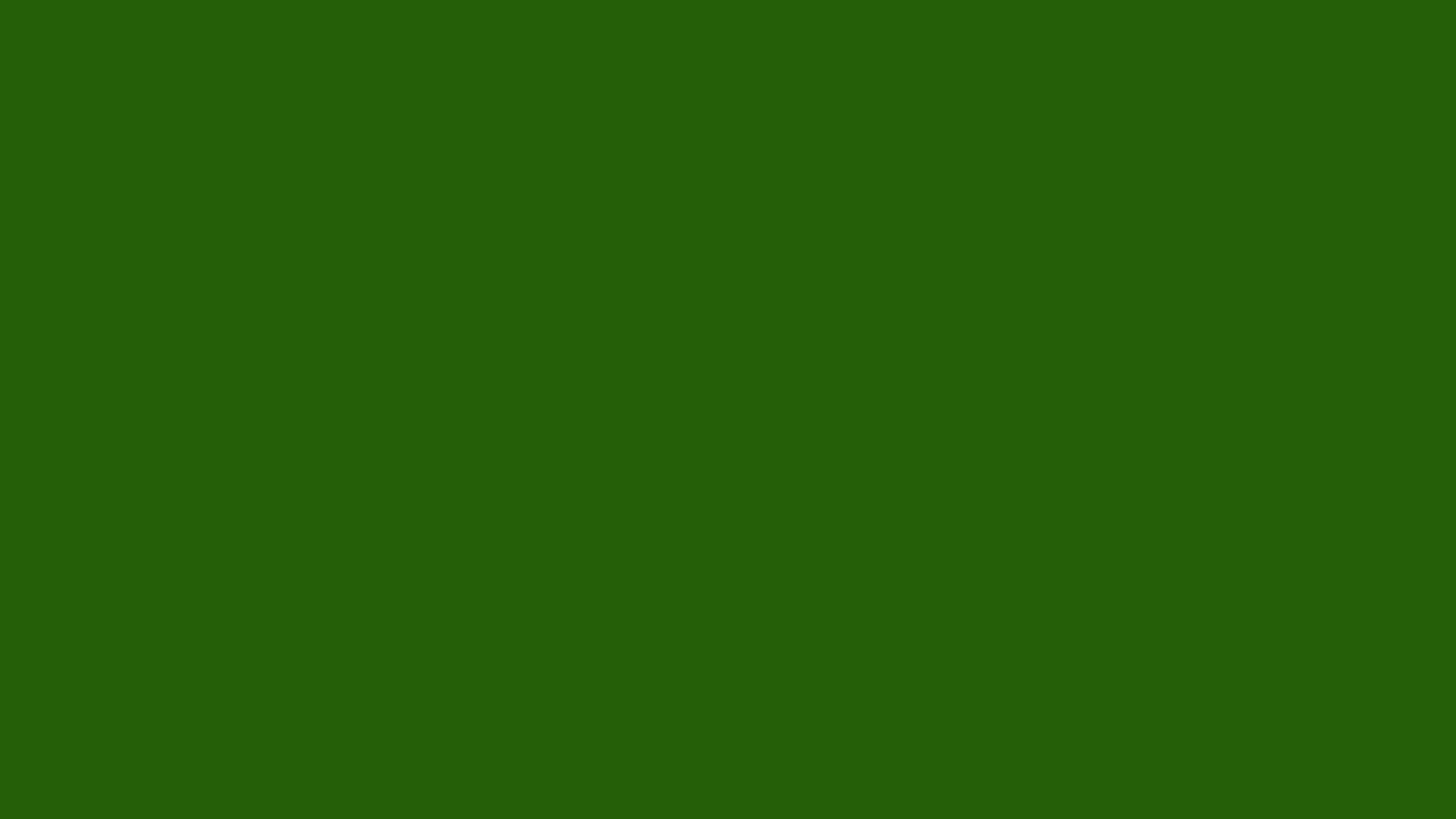 Lincoln Green (similar) Color | 256007 information | Hsl | Rgb | Pantone