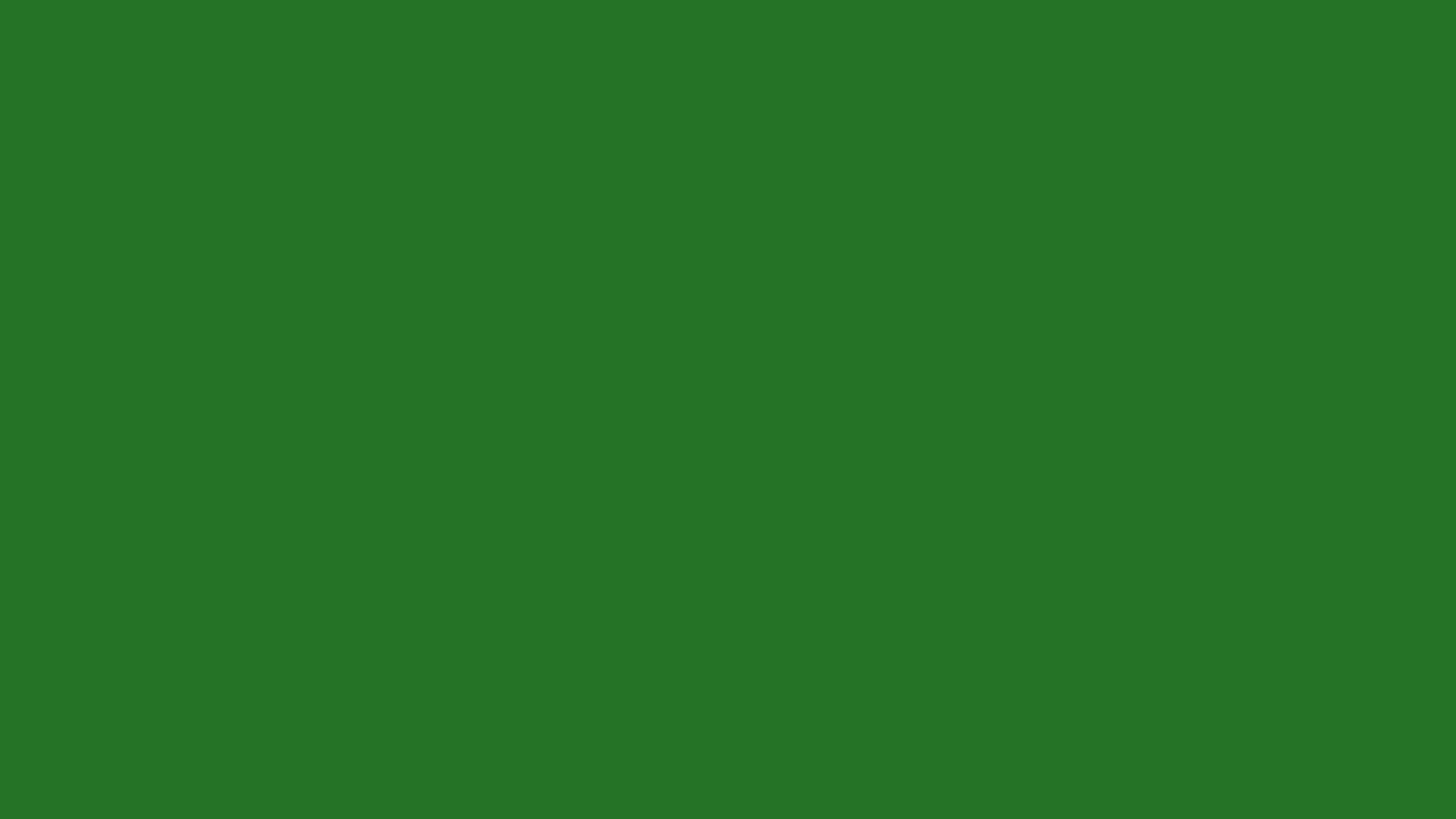 Brazilian Green (similar) Color | 257326 information | Hsl | Rgb | Pantone
