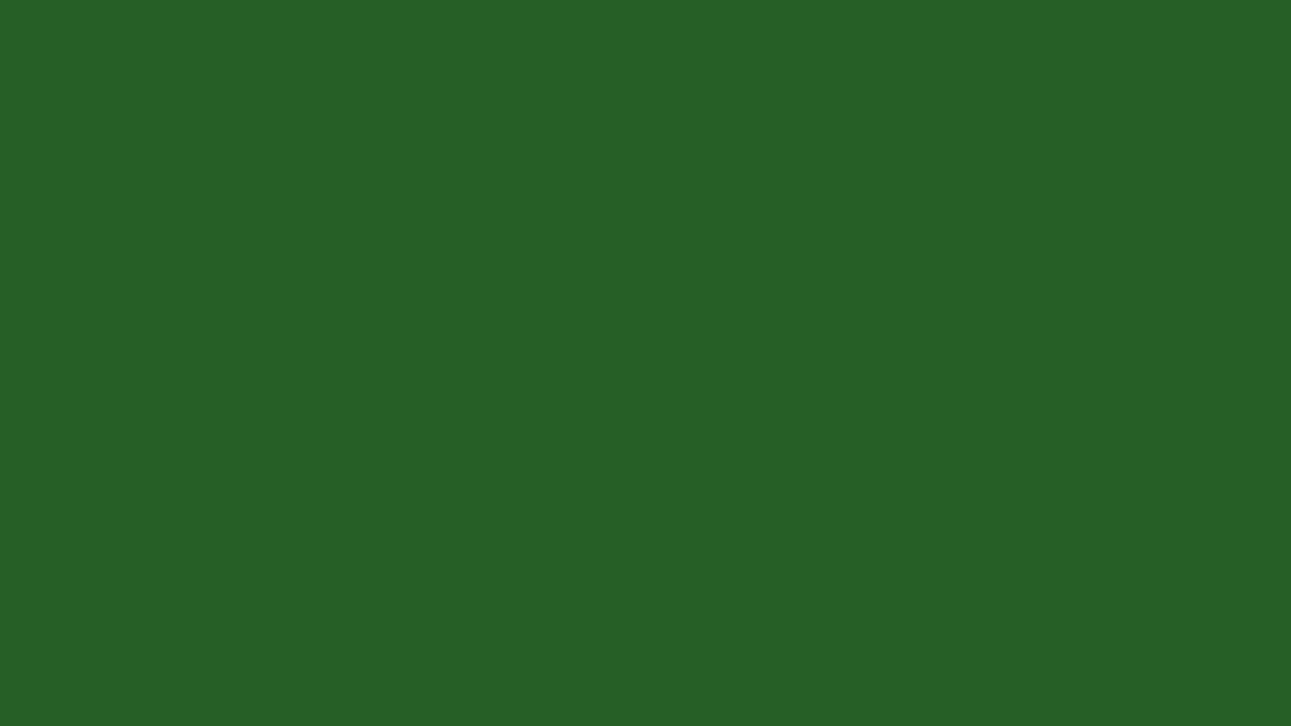 Bright Nori (similar) Color | 265f26 information | Hsl | Rgb | Pantone
