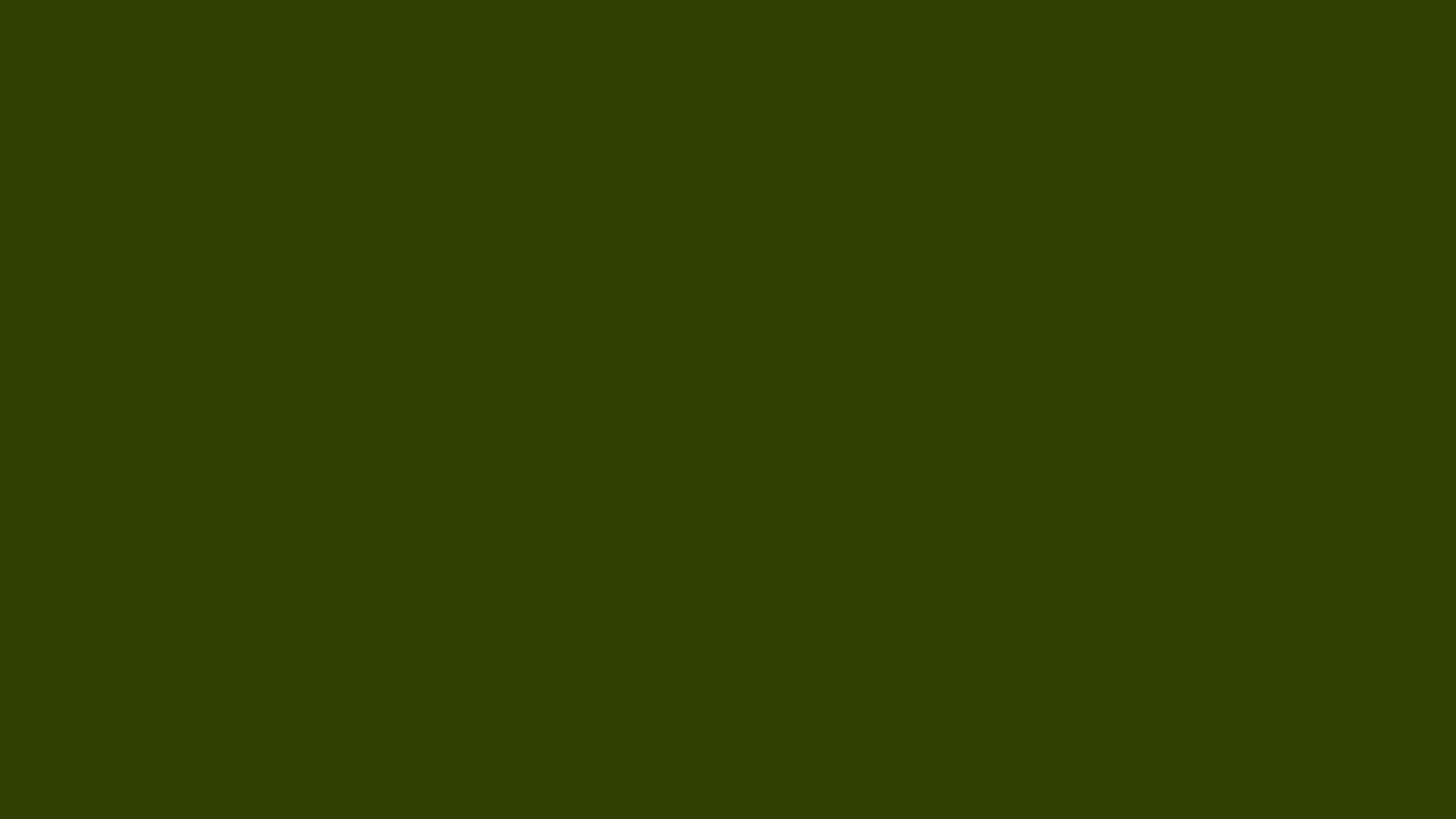 Dark Olive (similar) Color | 304003 information | Hsl | Rgb | Pantone