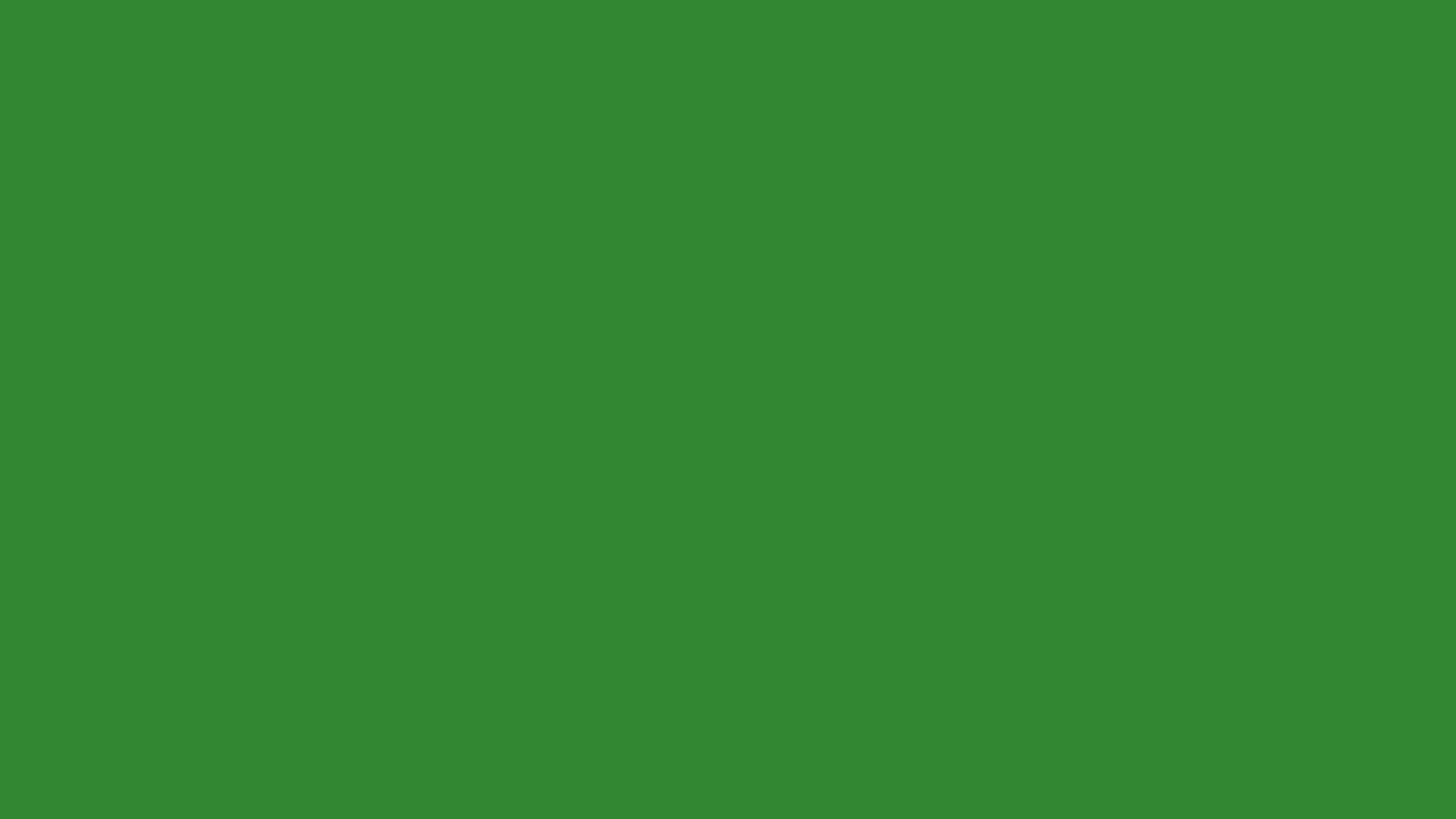 Putting Green (similar) Color | 328832 information | Hsl | Rgb | Pantone