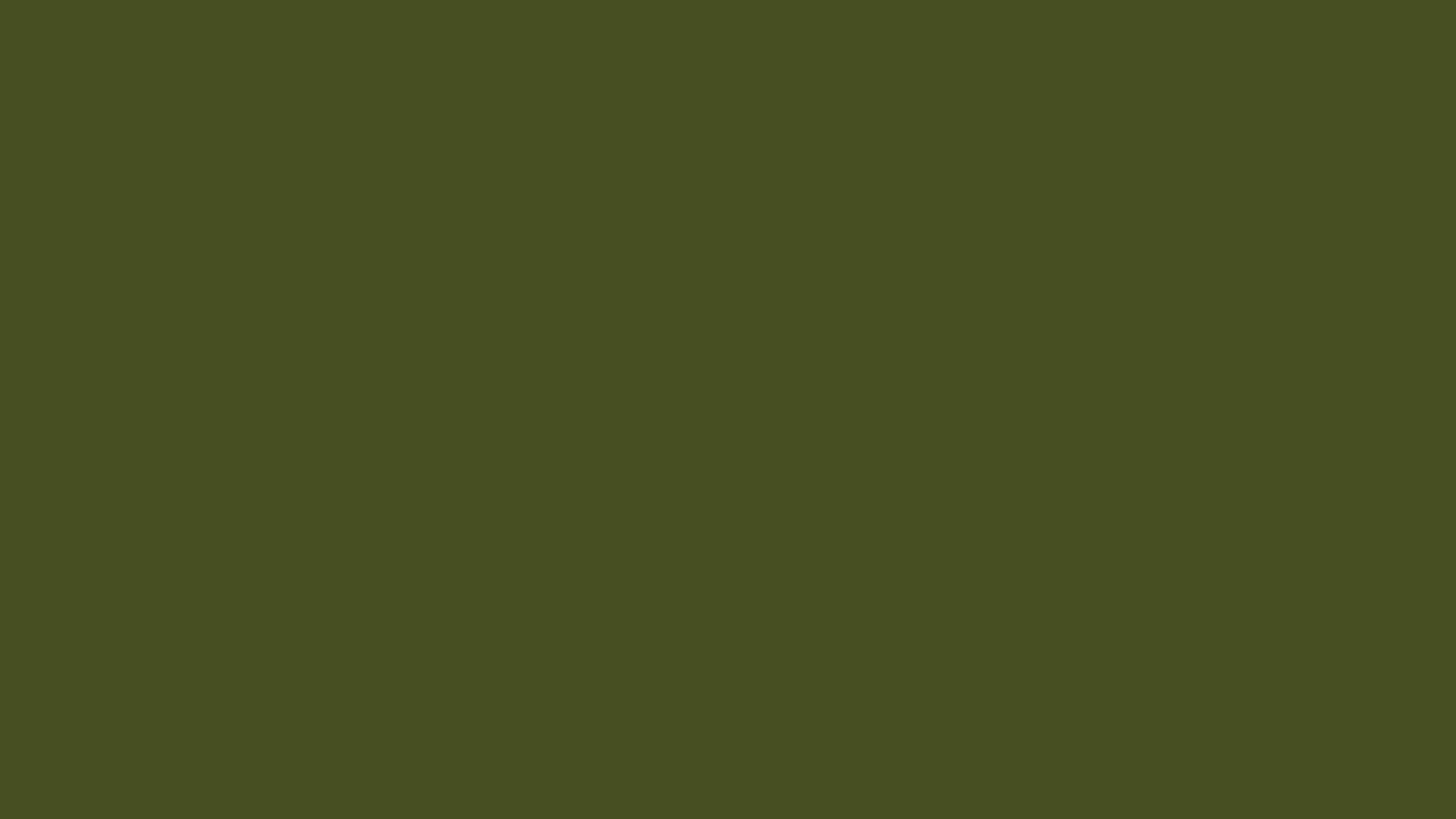 Army Green (similar) Color | 474f22 information | Hsl | Rgb | Pantone