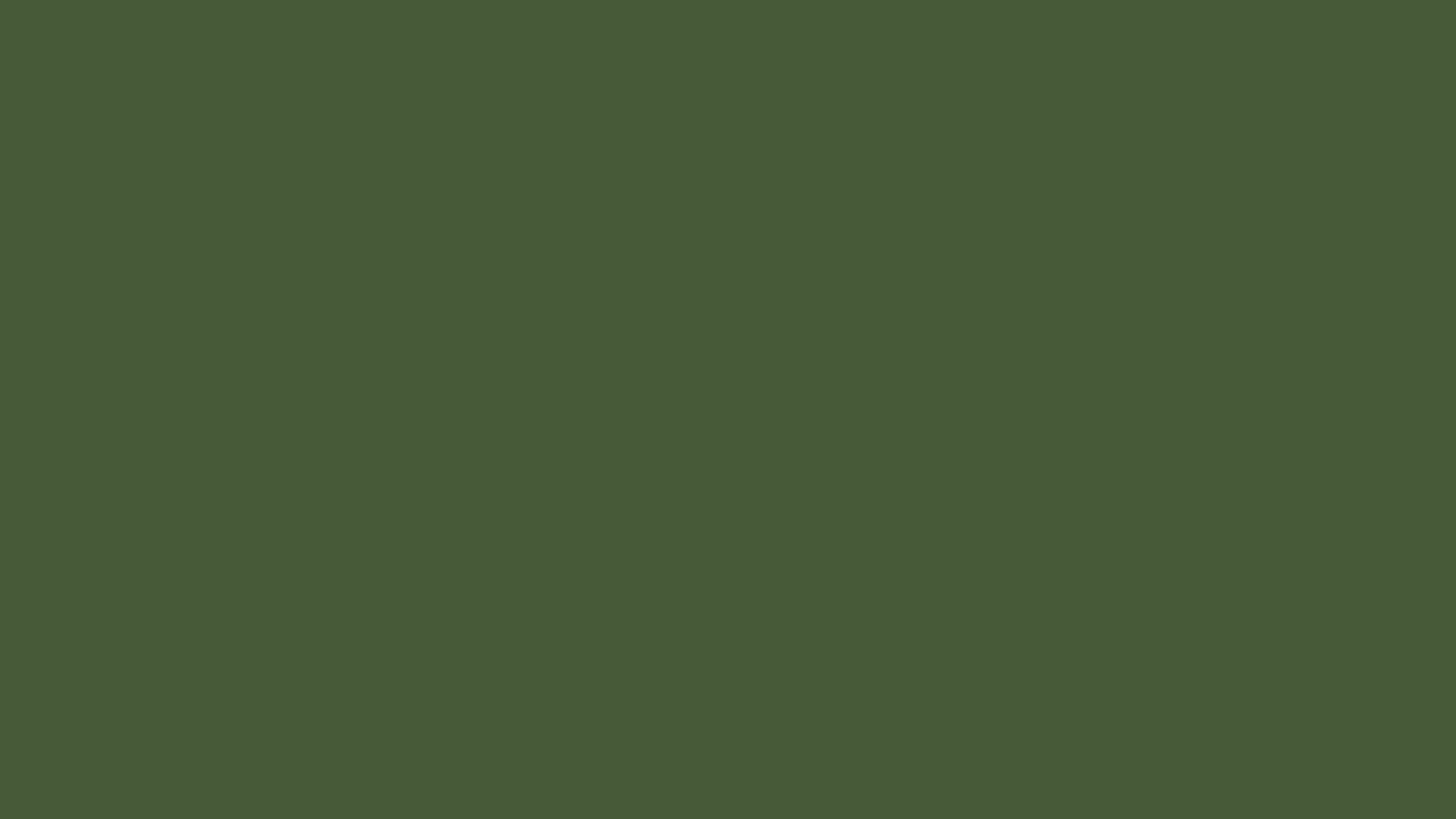 Stinging Nettle ( similar ) Color | 475a38 information | Hsl | Rgb ...