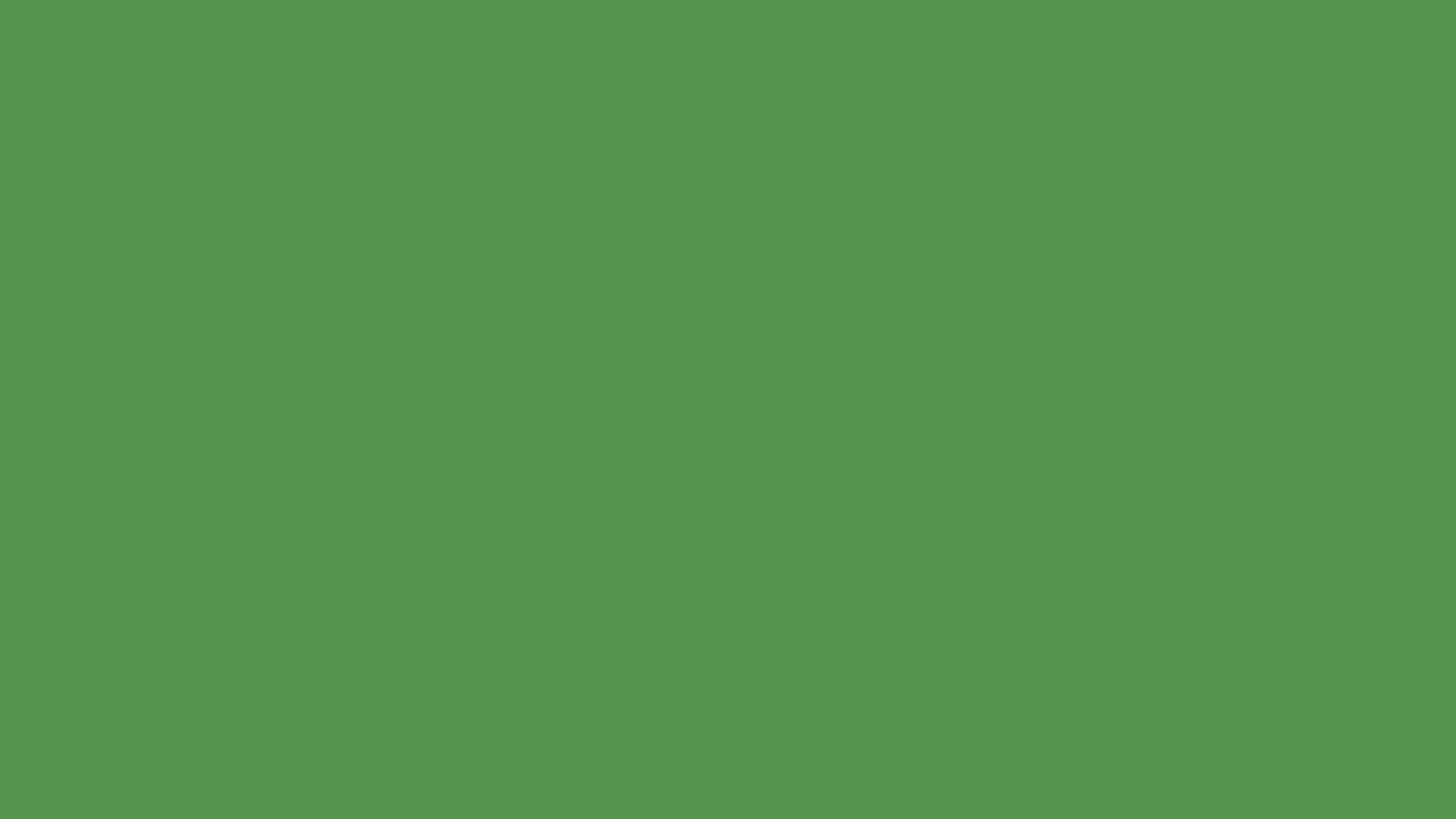 Hex Color #55934f | Pantone PANTONE P 149-6 C | Hsl | Rgb