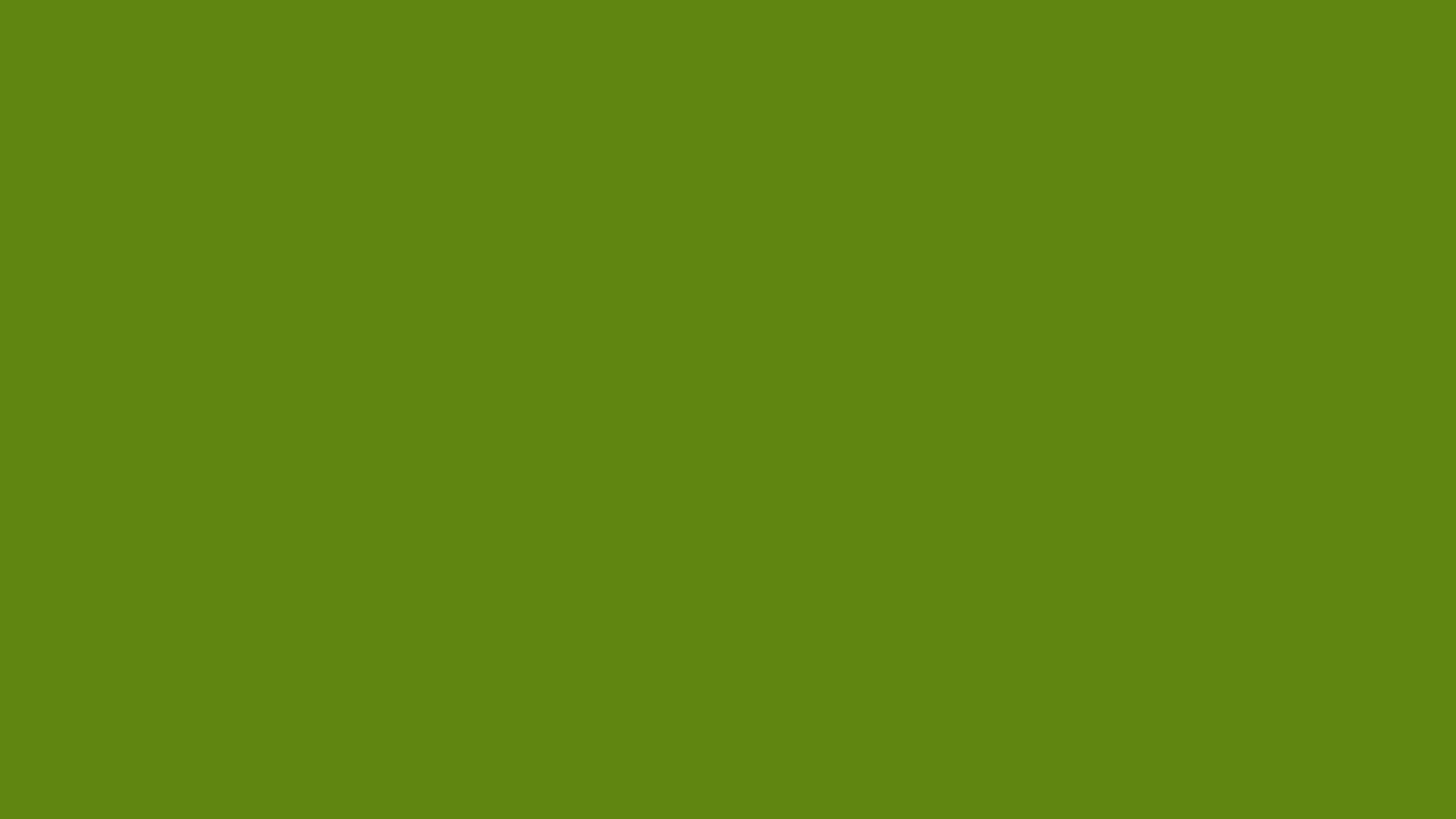 Sap Green ( similar ) Color | 608611 information | Hsl | Rgb | Pantone