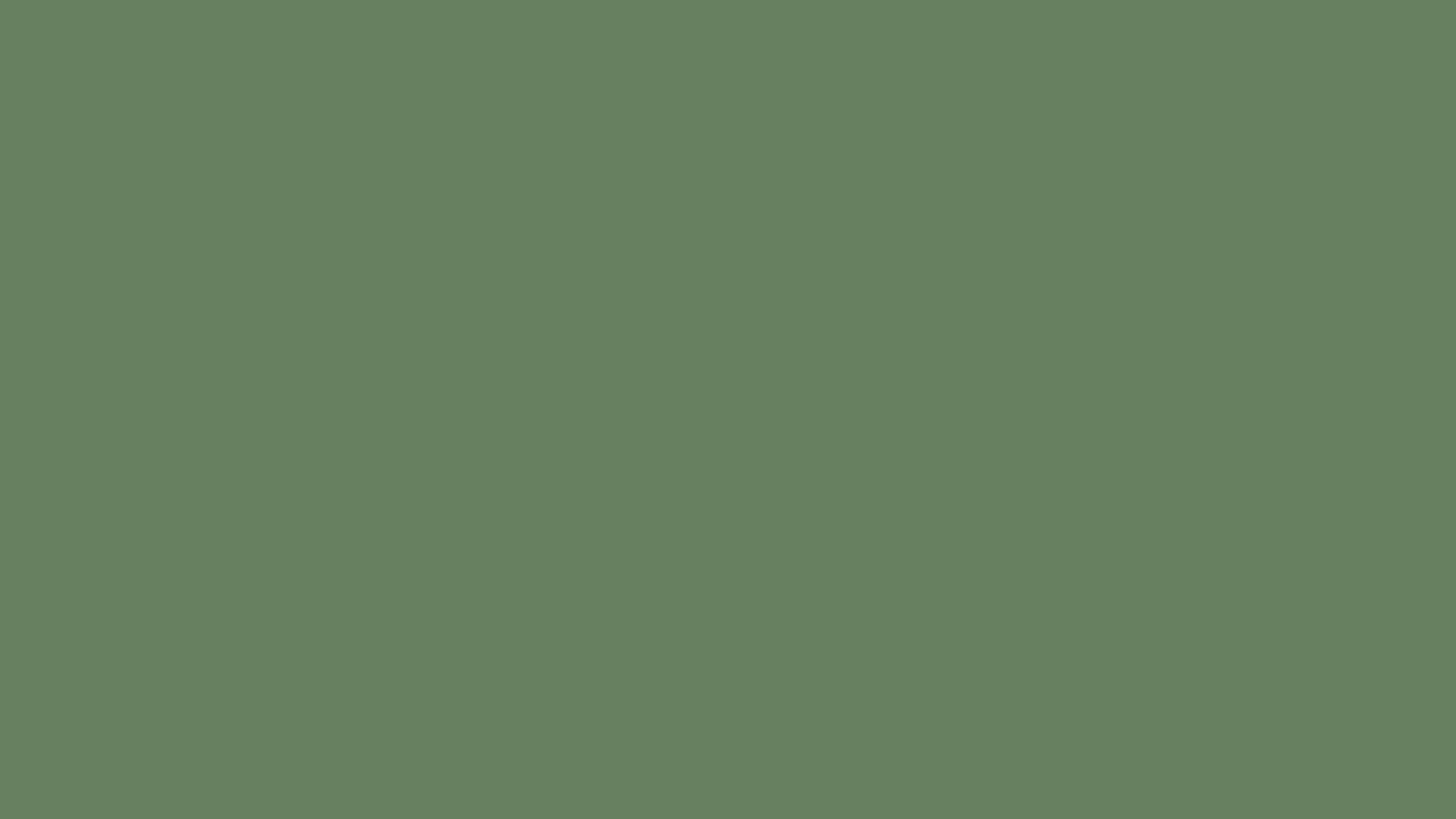 Pantone P 153-13 U Color | Hex color Code #64805c information | Hsl ...