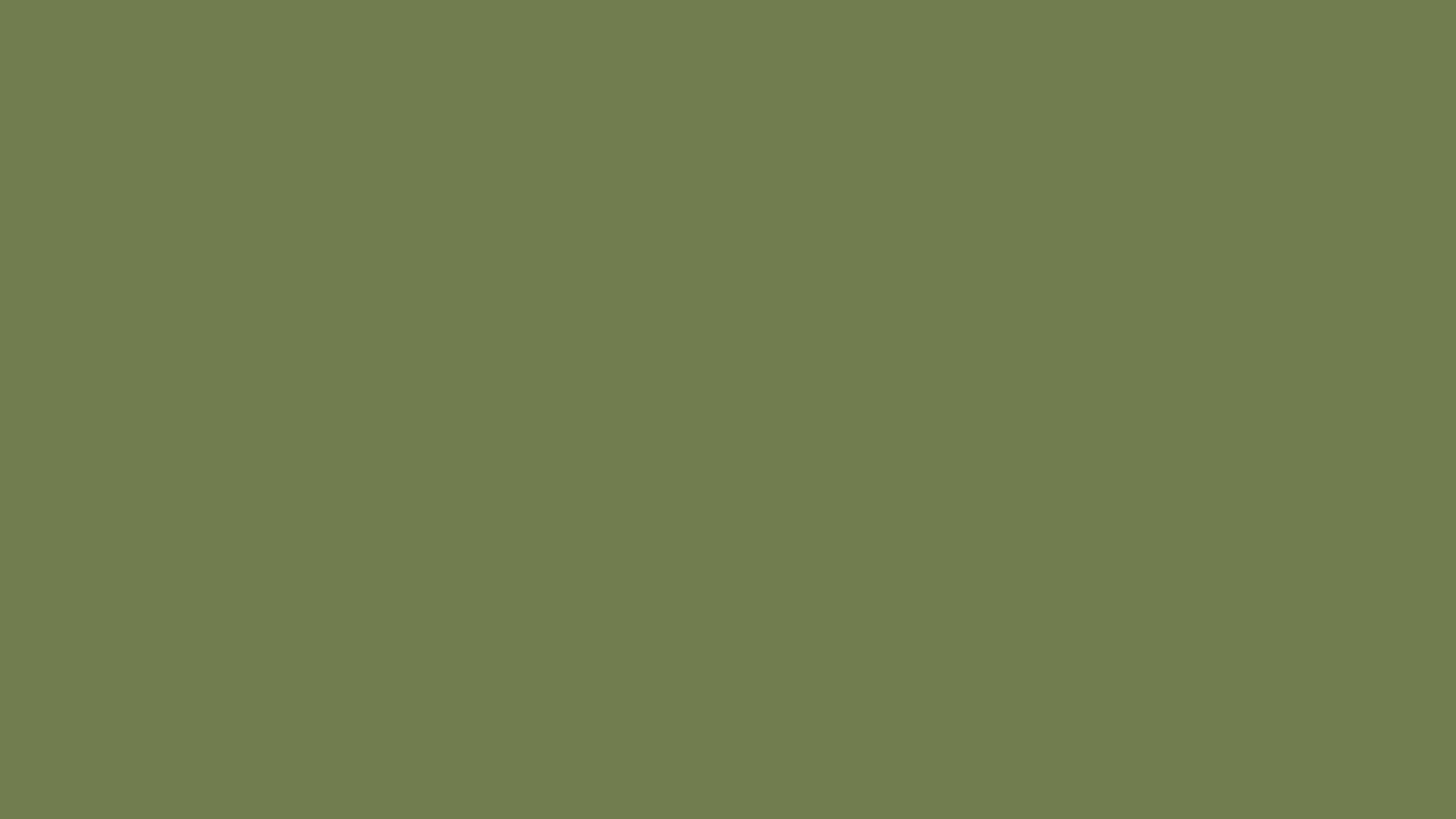 Pantone 18-0332 Tpg Grasshopper Color | Hex color Code #717F4F ...