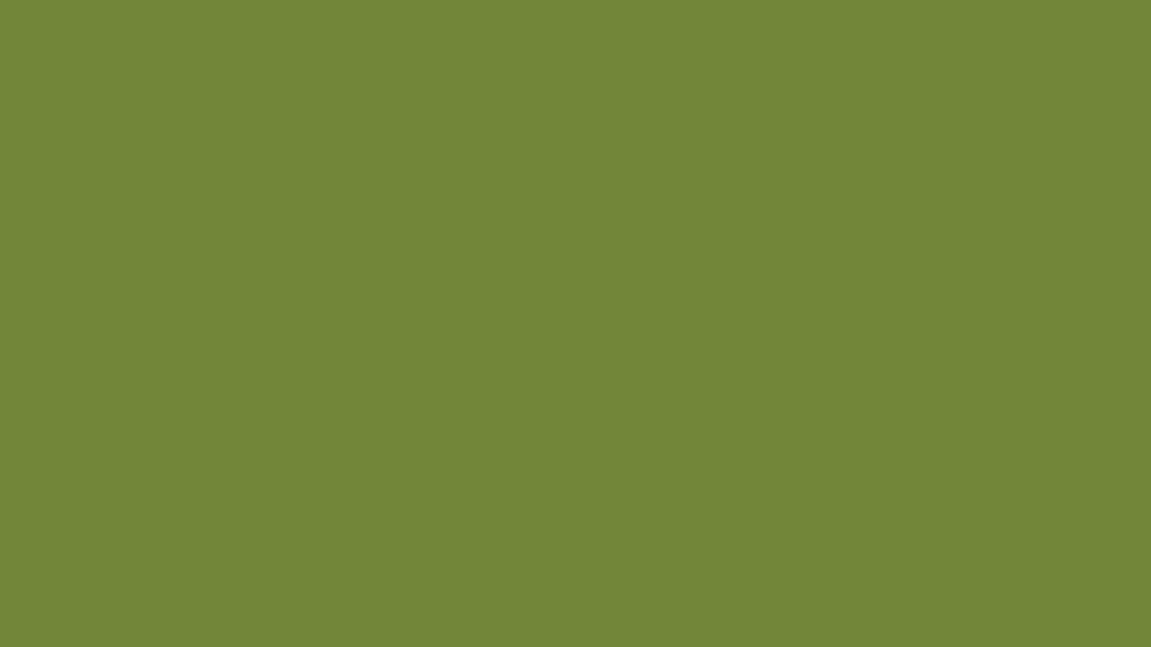 Khaki Green Color | 728639 information | Hsl | Rgb | Pantone