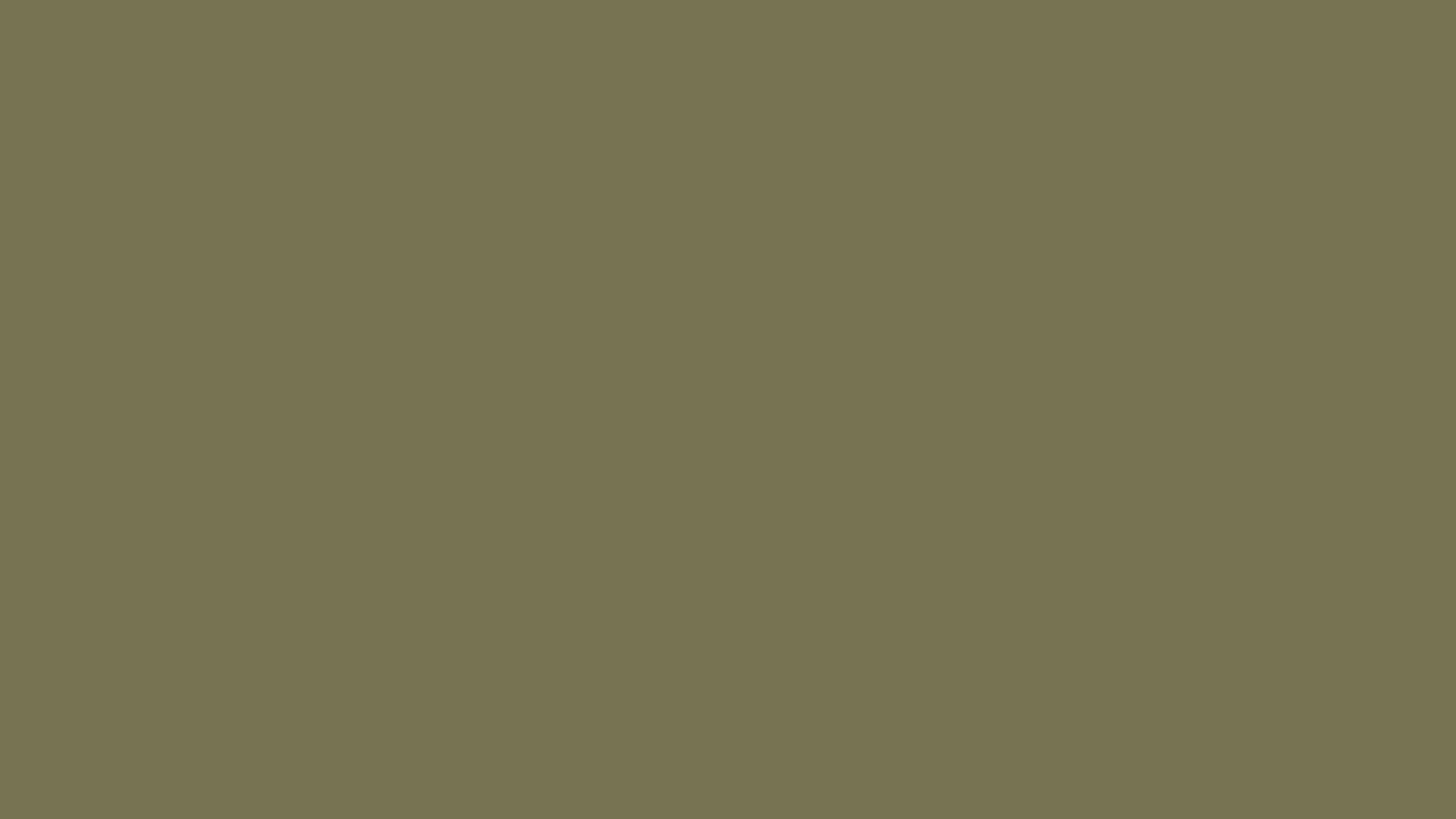 Hex Color #777352 information | Hsl | Rgb | Pantone