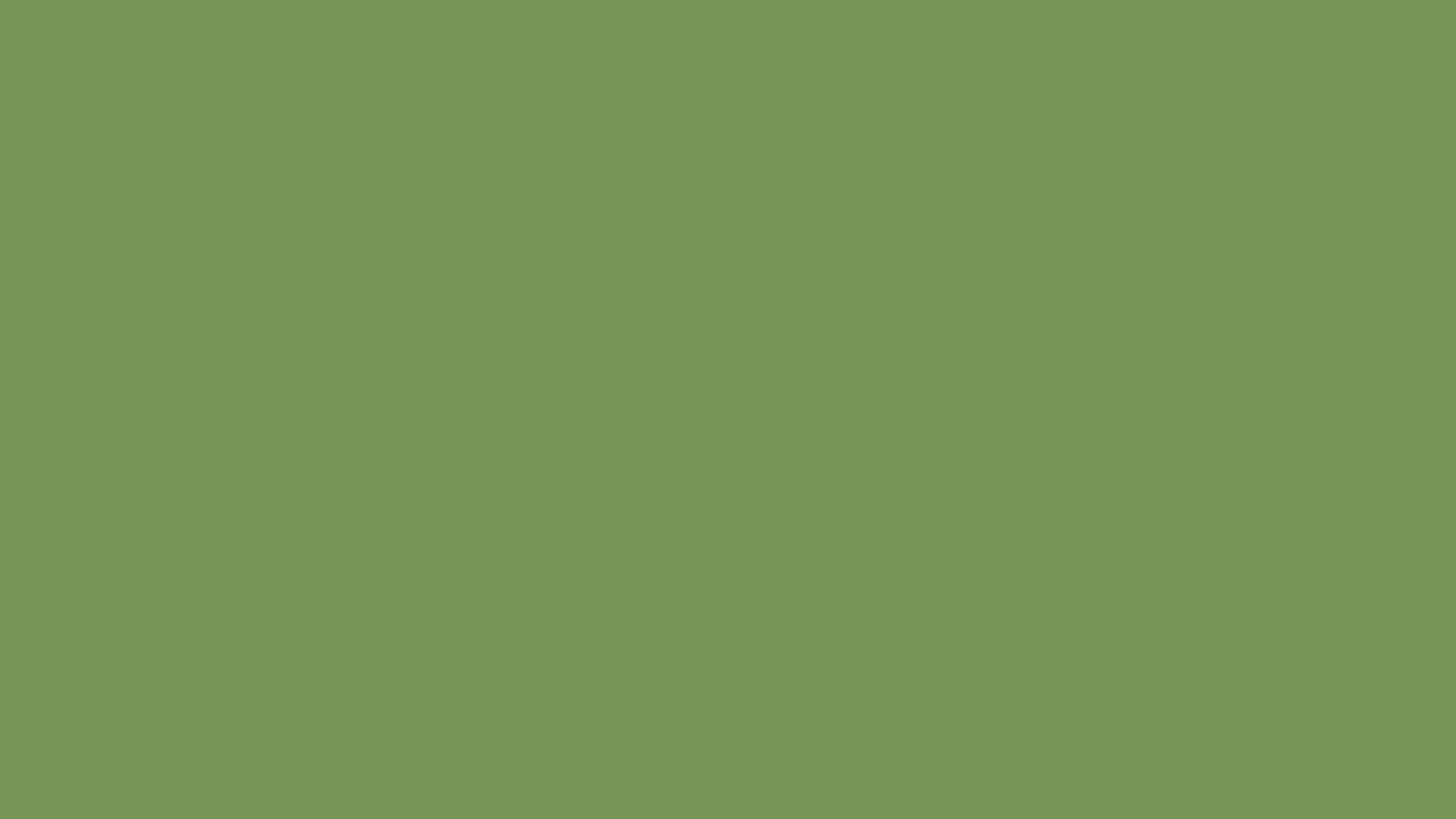 Hex Color #779557 information | Hsl | Rgb | Pantone