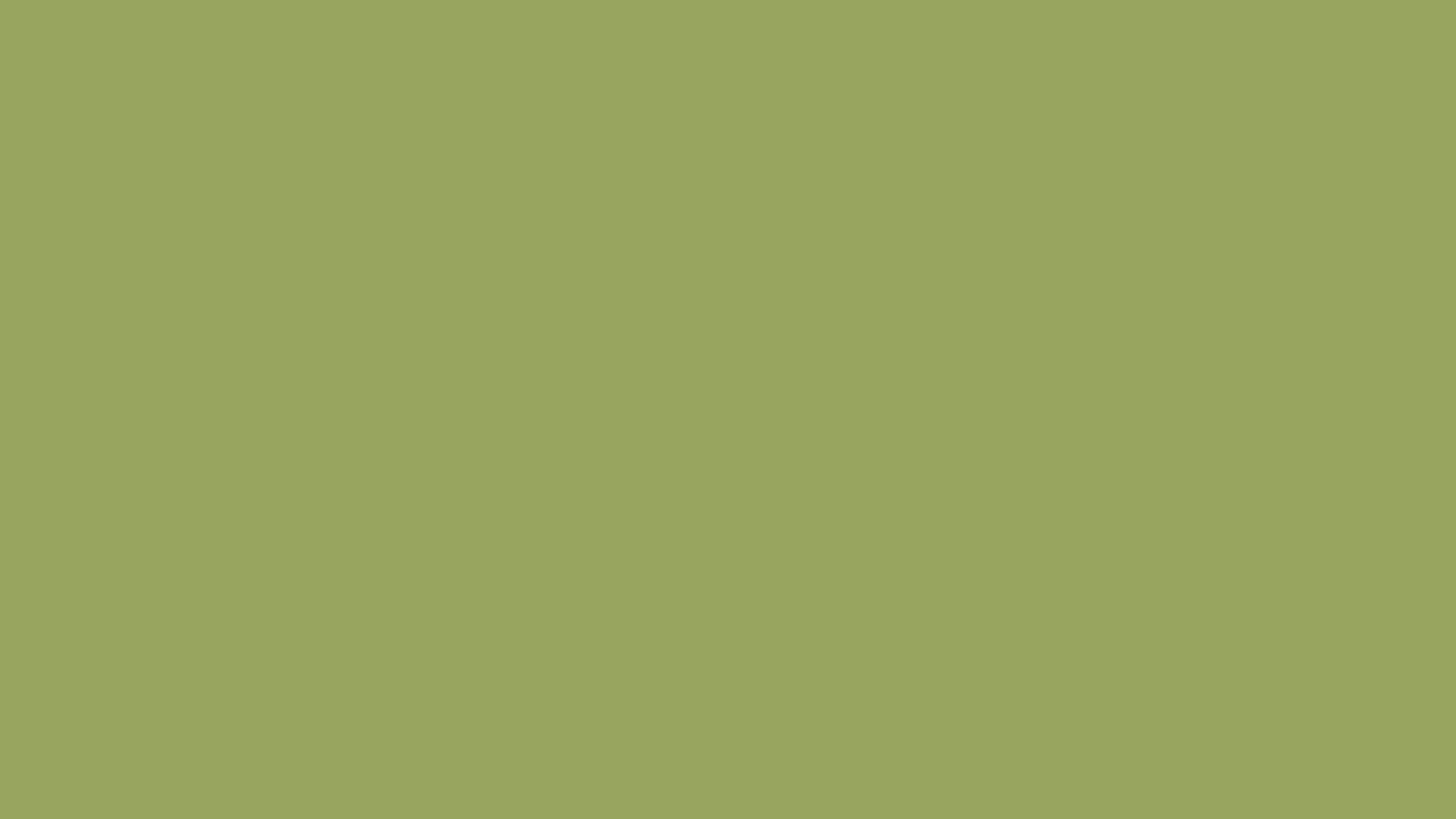 Hex Color #98a55f information | Hsl | Rgb | Pantone