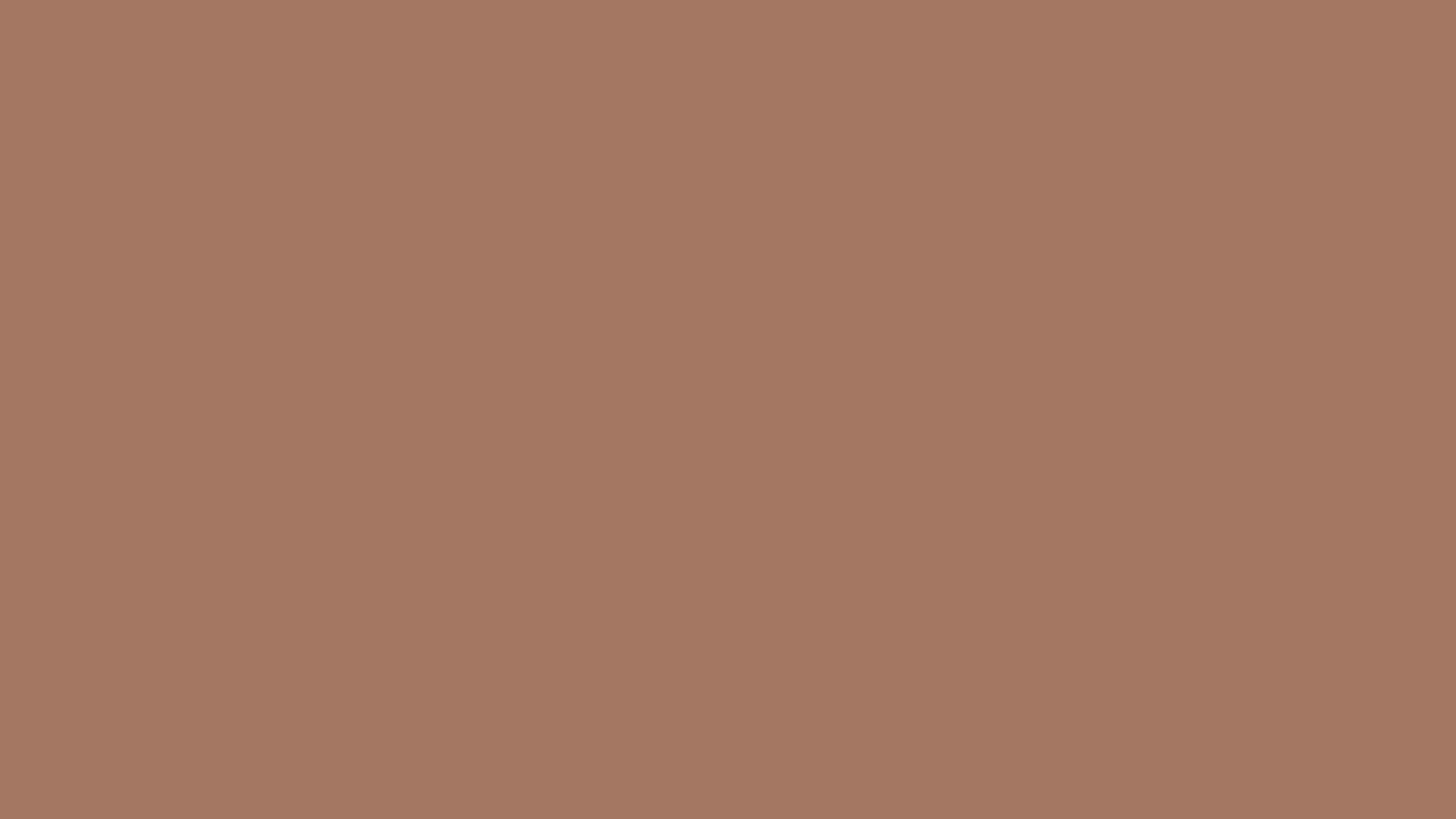Hex Color #a37762 | Pantone PANTONE 17-1230 TPX | Hsl | Rgb
