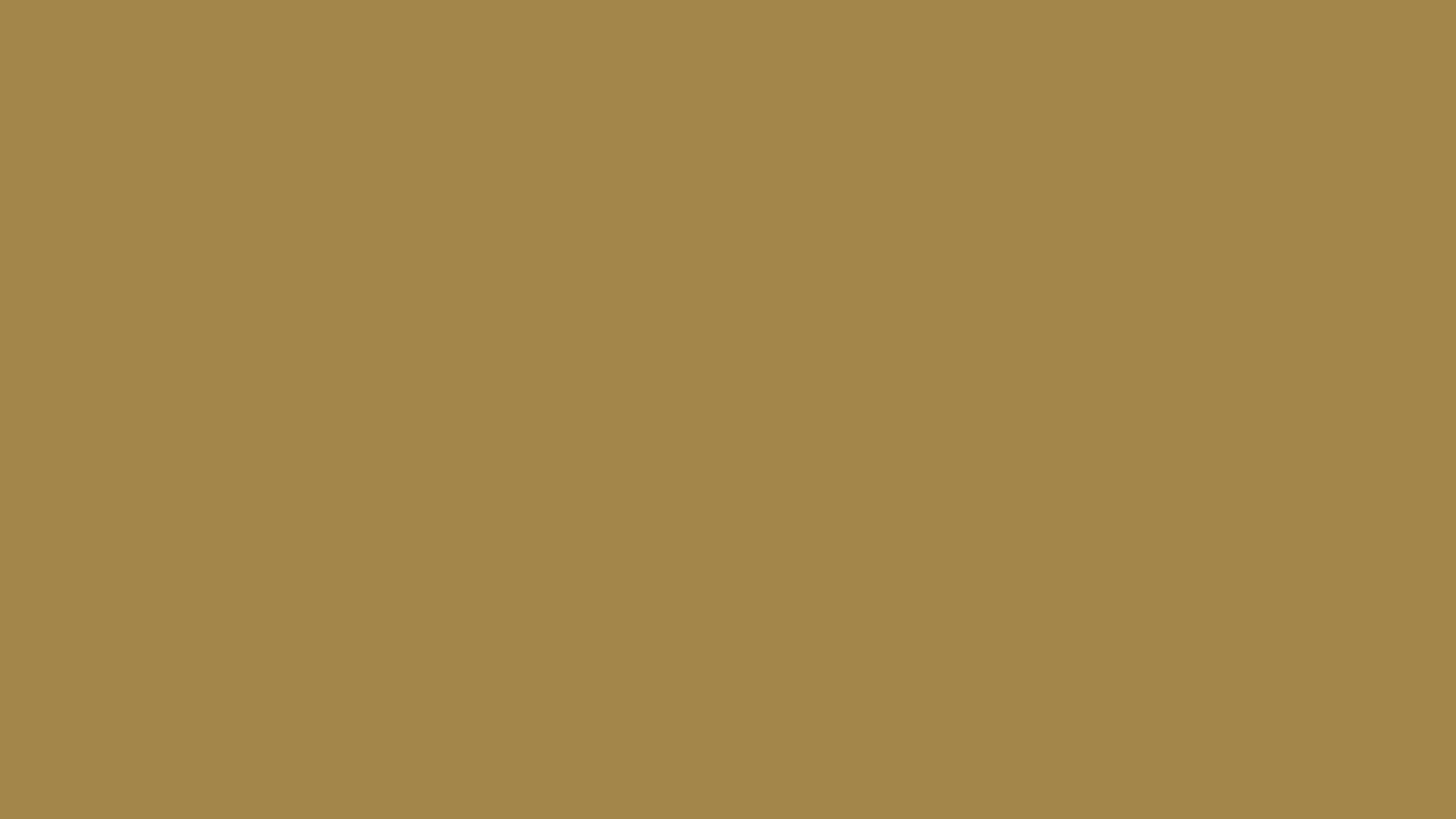 Hex Color #a3864a | Printing Match PANTONE P 16-14 C | Color conversion ...