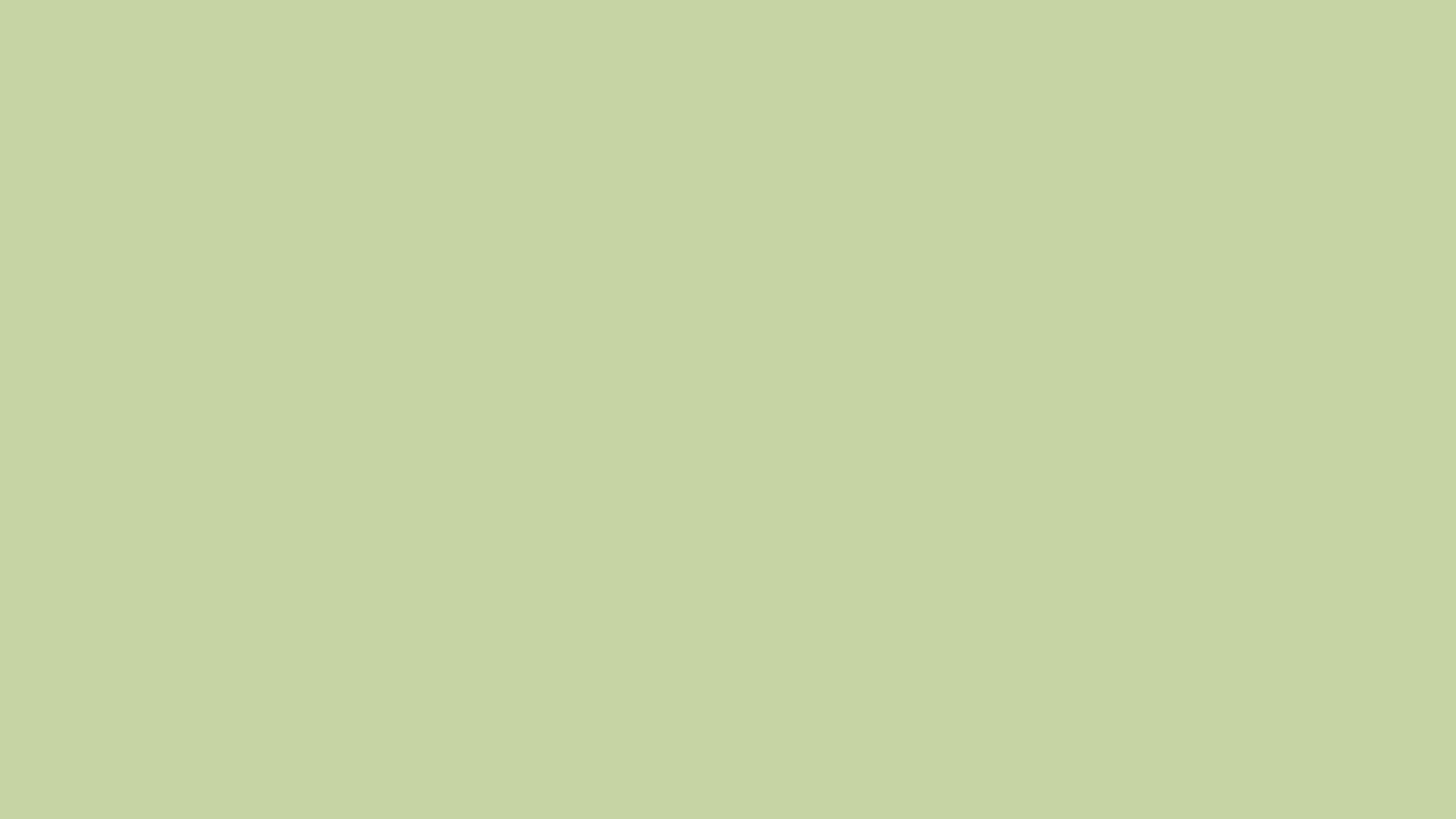 Cricket Field (similar) Color | c6d4a4 information | Hsl | Rgb | Pantone