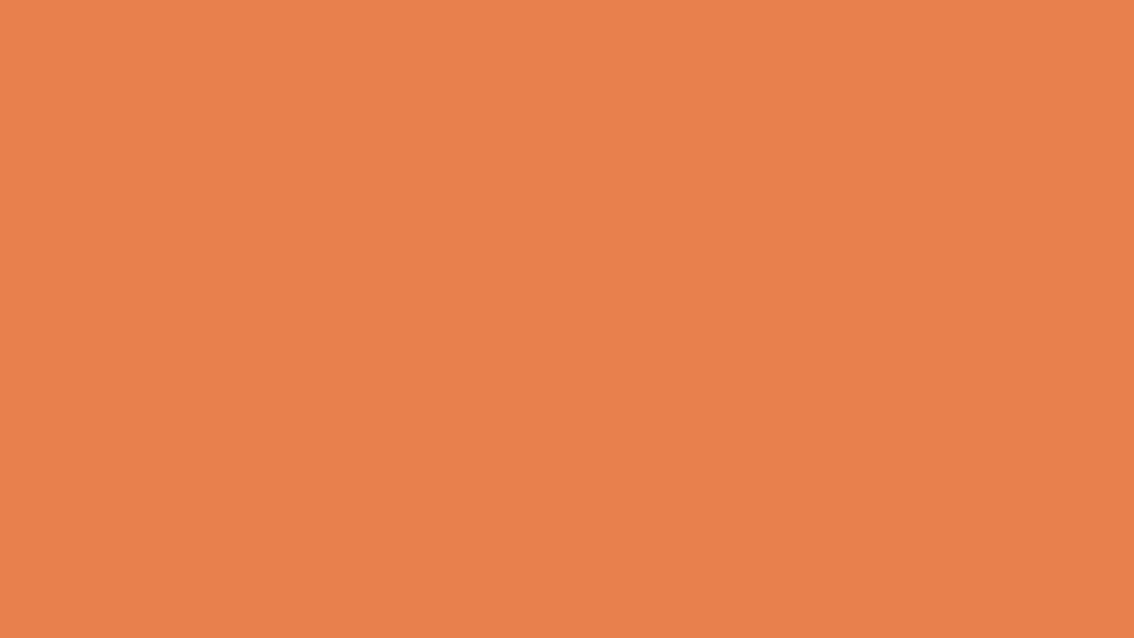 Hex Color #e8804d information | Hsl | Rgb | Pantone